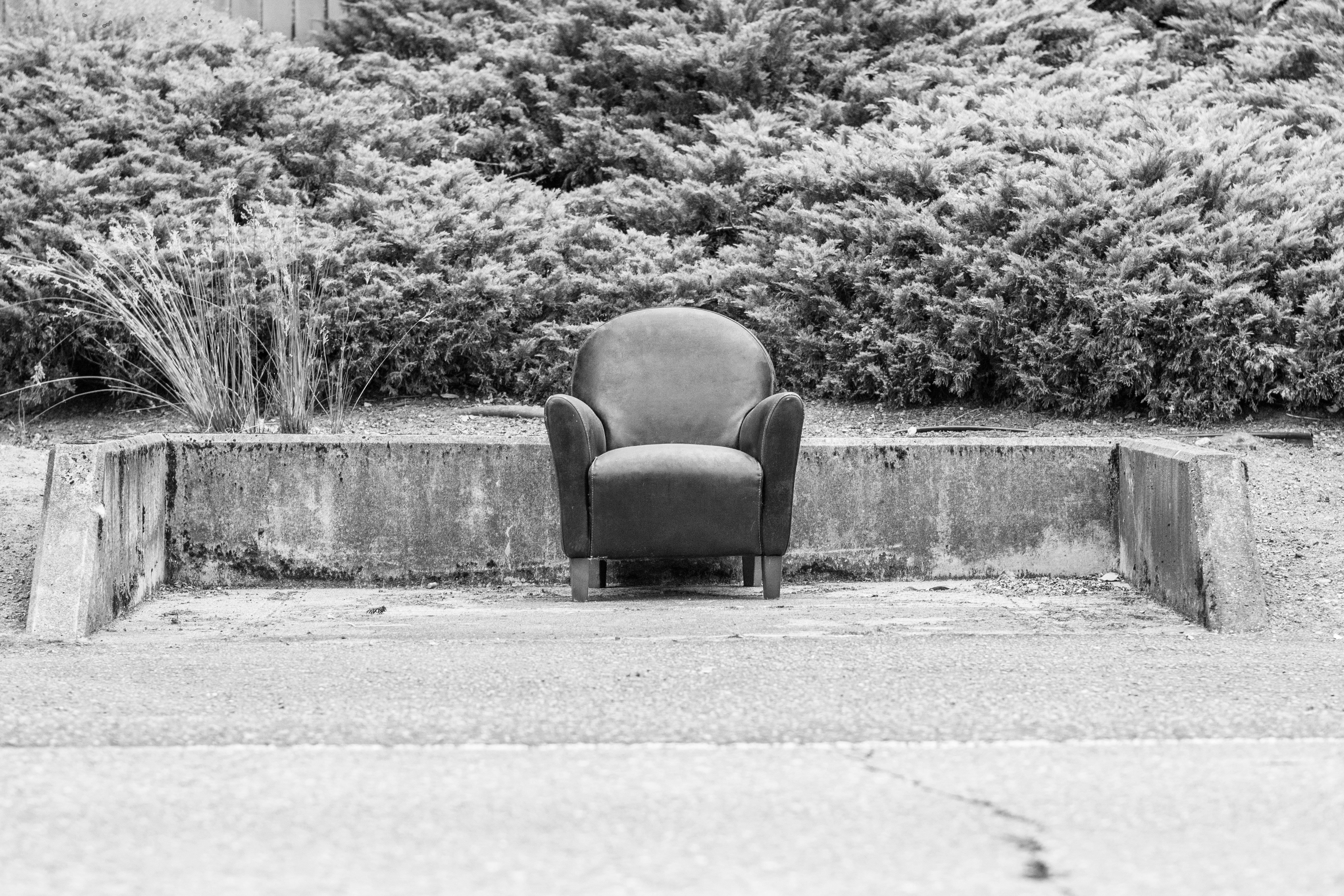 A lone armchair sits centered on a concrete platform with shrubbery backdrop, captured in grayscale to emphasize texture and solitude.