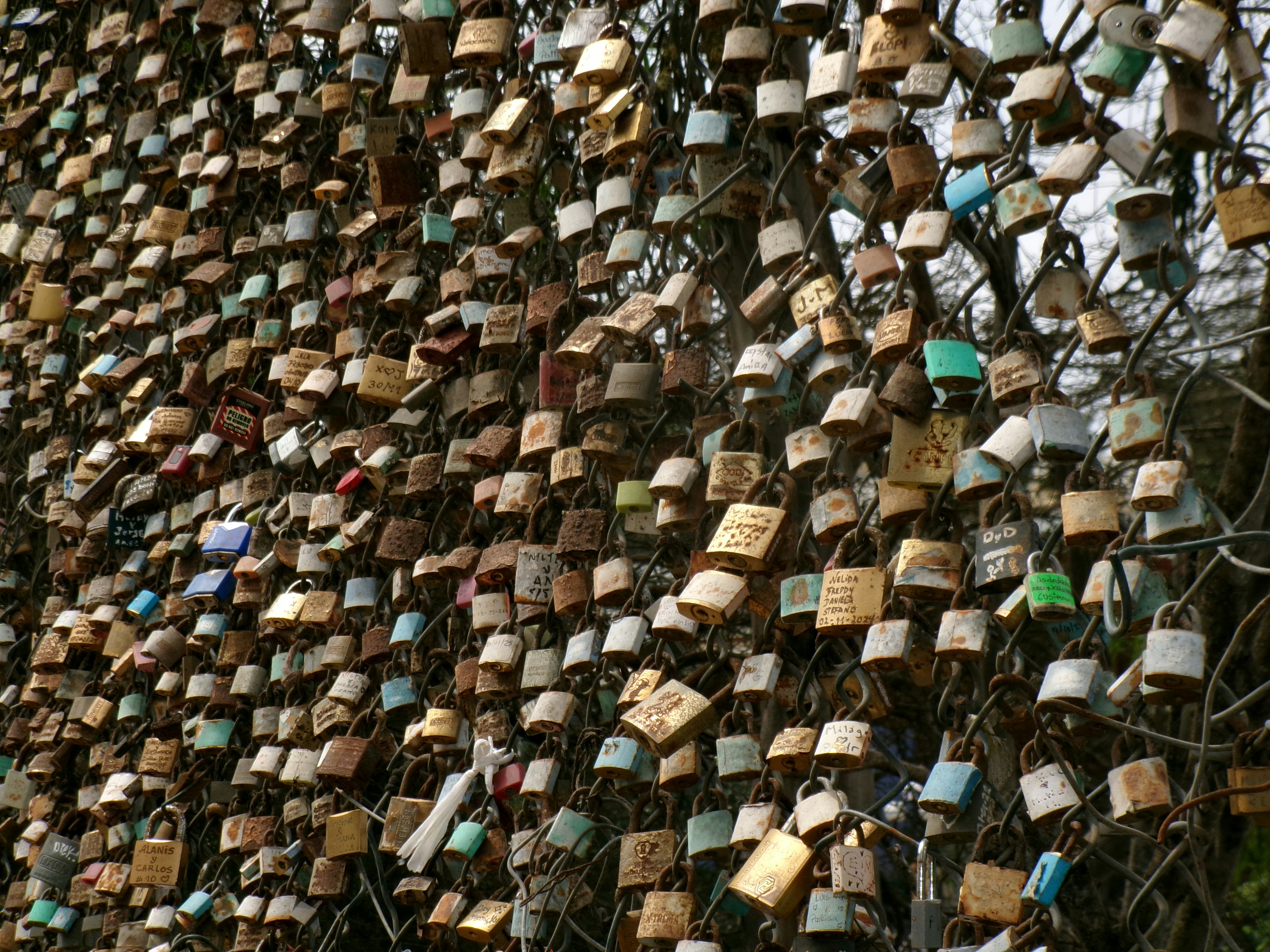 Locks of memory: a sea of love padlocks on a wire fence