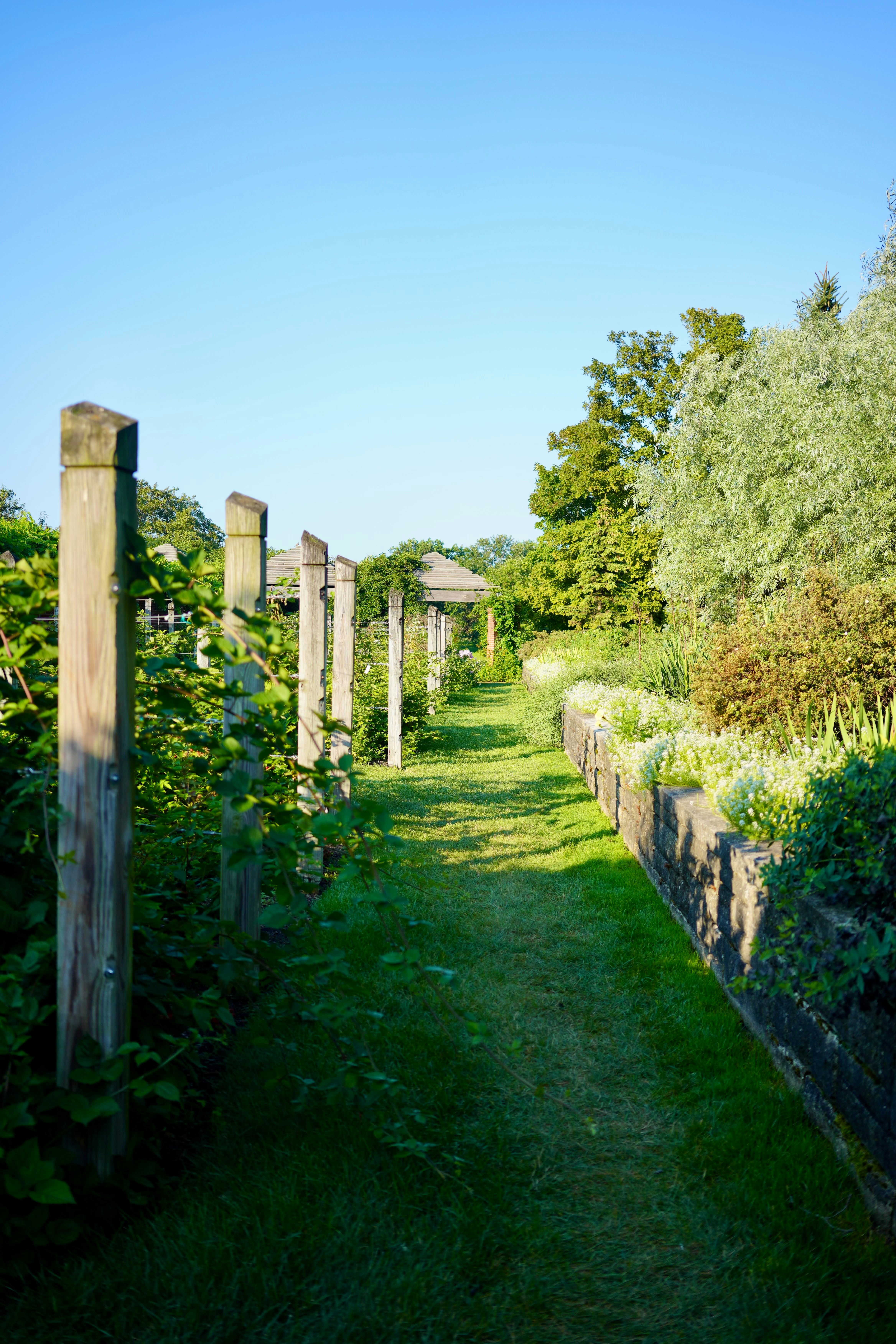A Sunlit Path Through an Arbor of Weathered Columns
