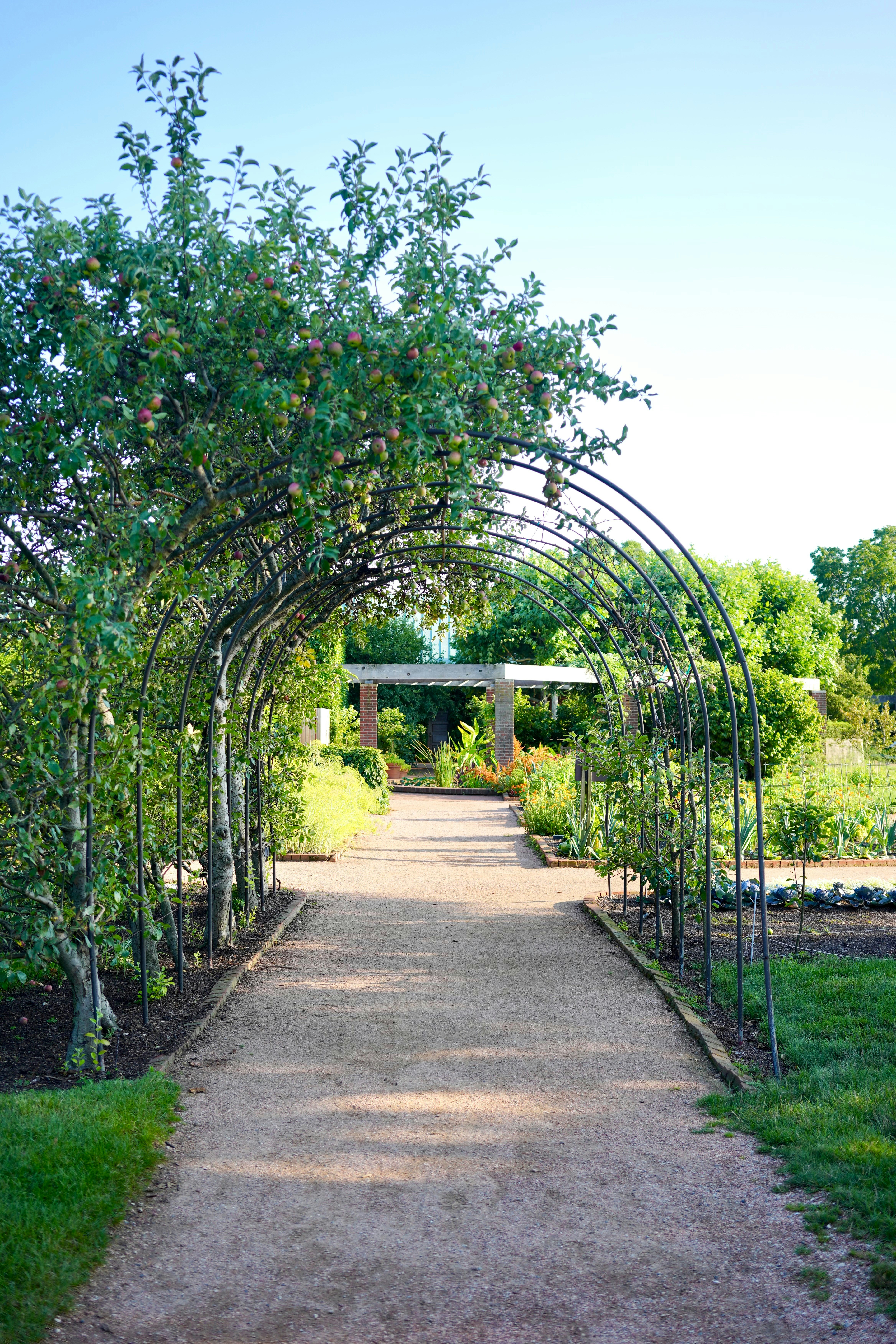 Arched Garden Pathway Framing a Quiet Autumn Walk