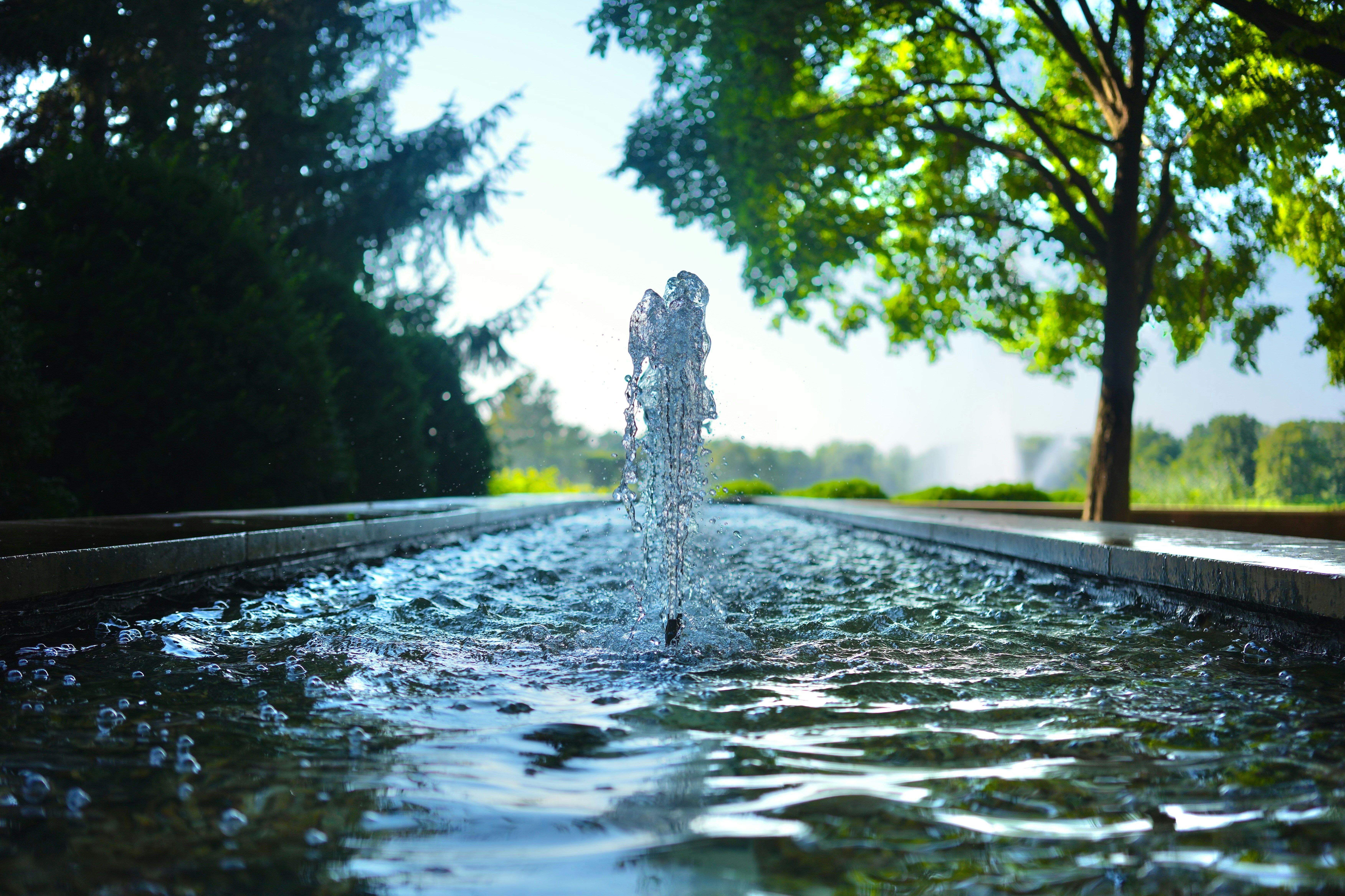 Photo by Raja Patel with Sony Alpha 7C II