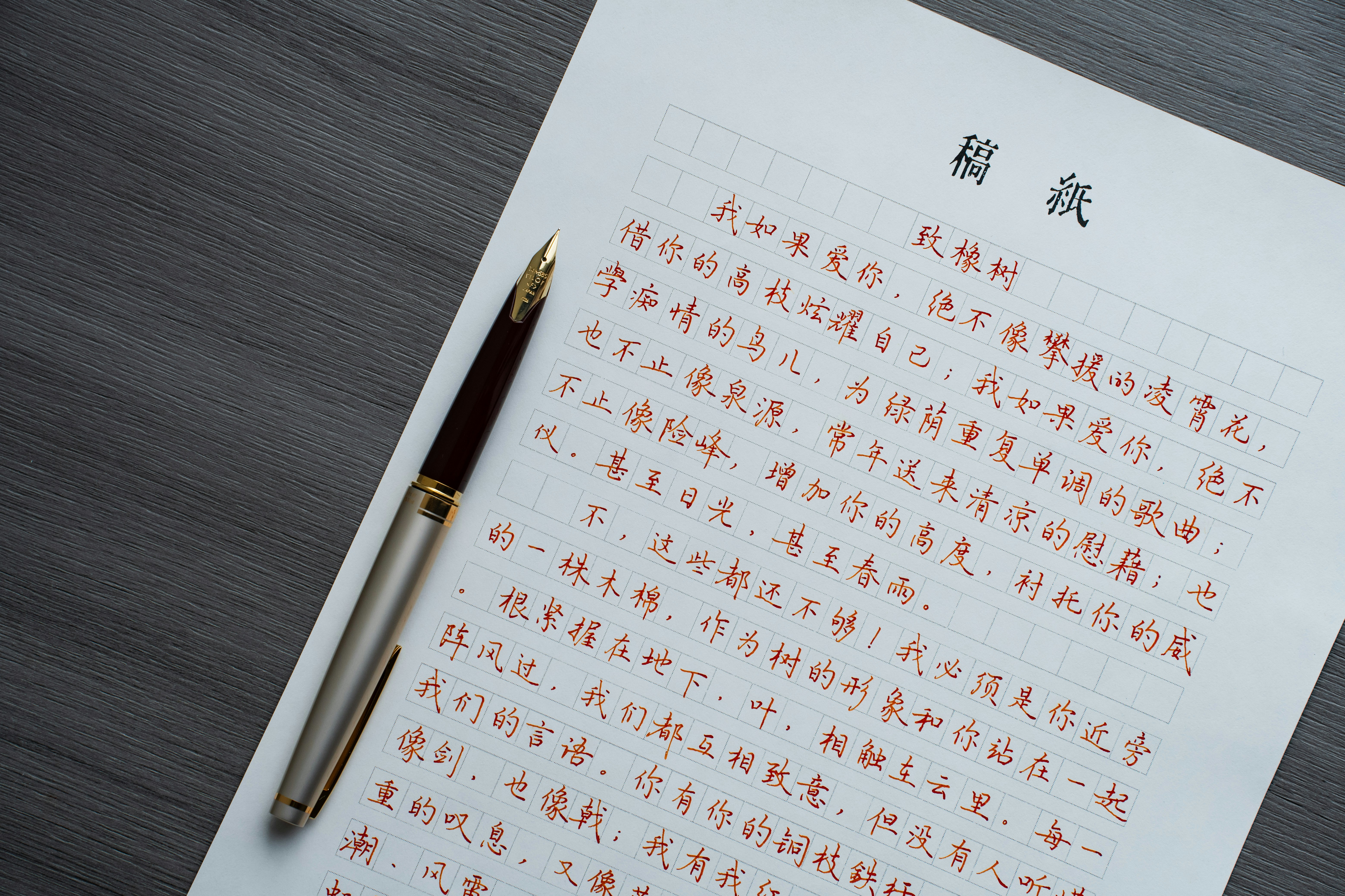 Ink on Paper: A Poised Quill Meets a Flight of Chinese Script