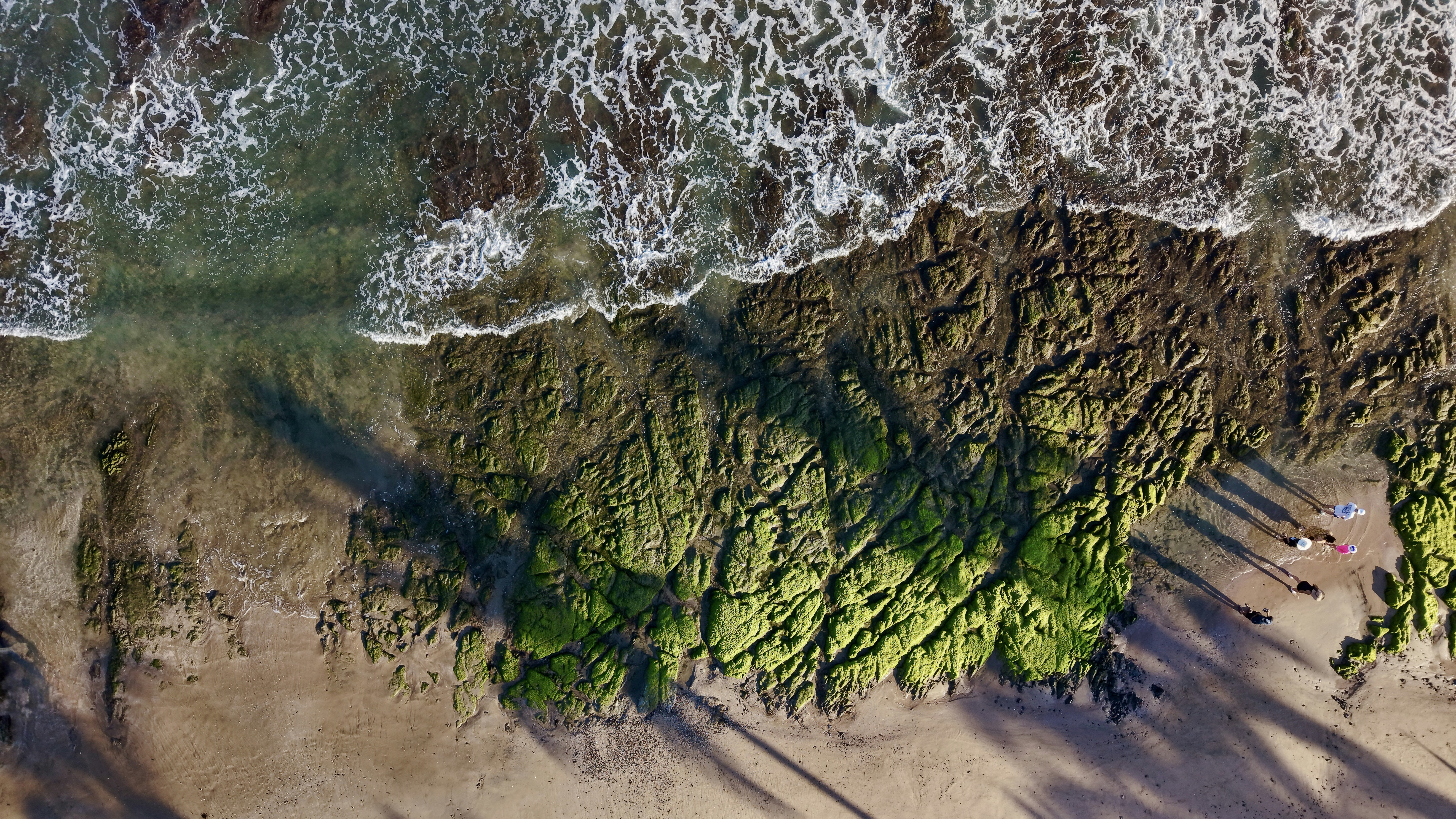 Sunlit rocky shoreline with green algae and dark shadows cast by palm-like trees; ocean waves meet the coast, showing intricate textures and a small group of people near the edge.