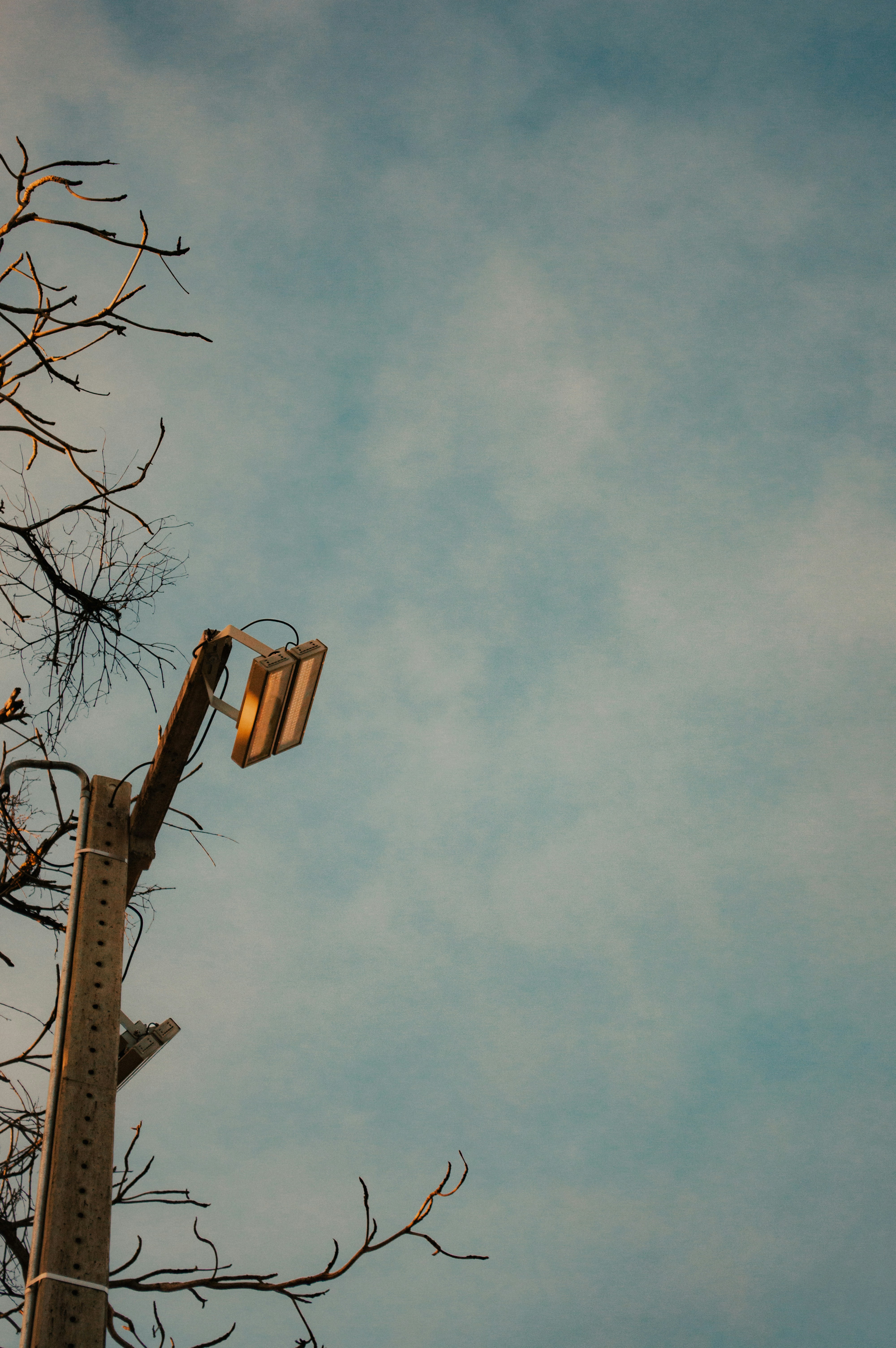 Streetlight Horizon: A Lone Lamp Reaches Toward a Calm Sky