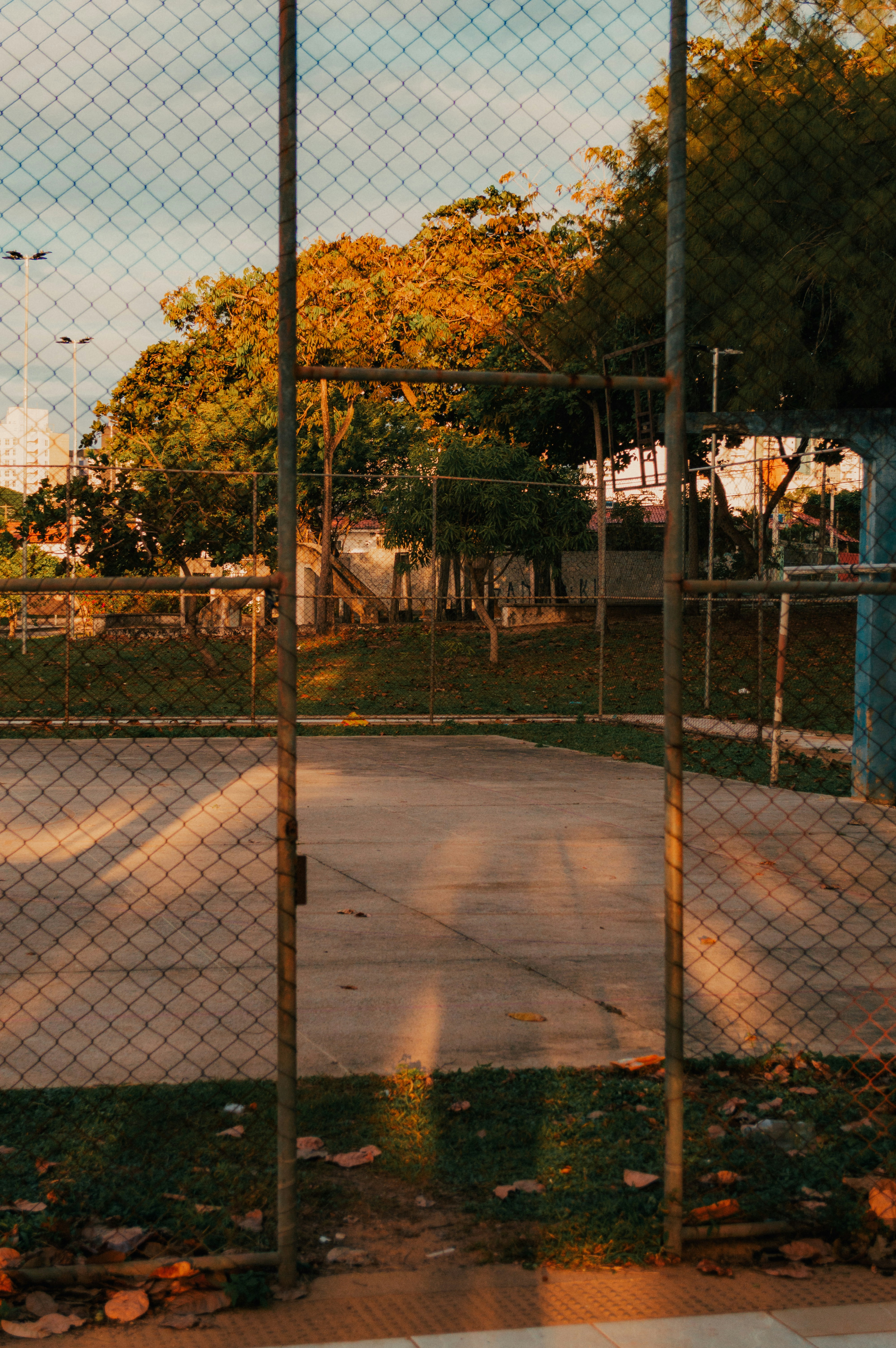 Sunlit Playground Gate: Evening Light Through Chain-Link