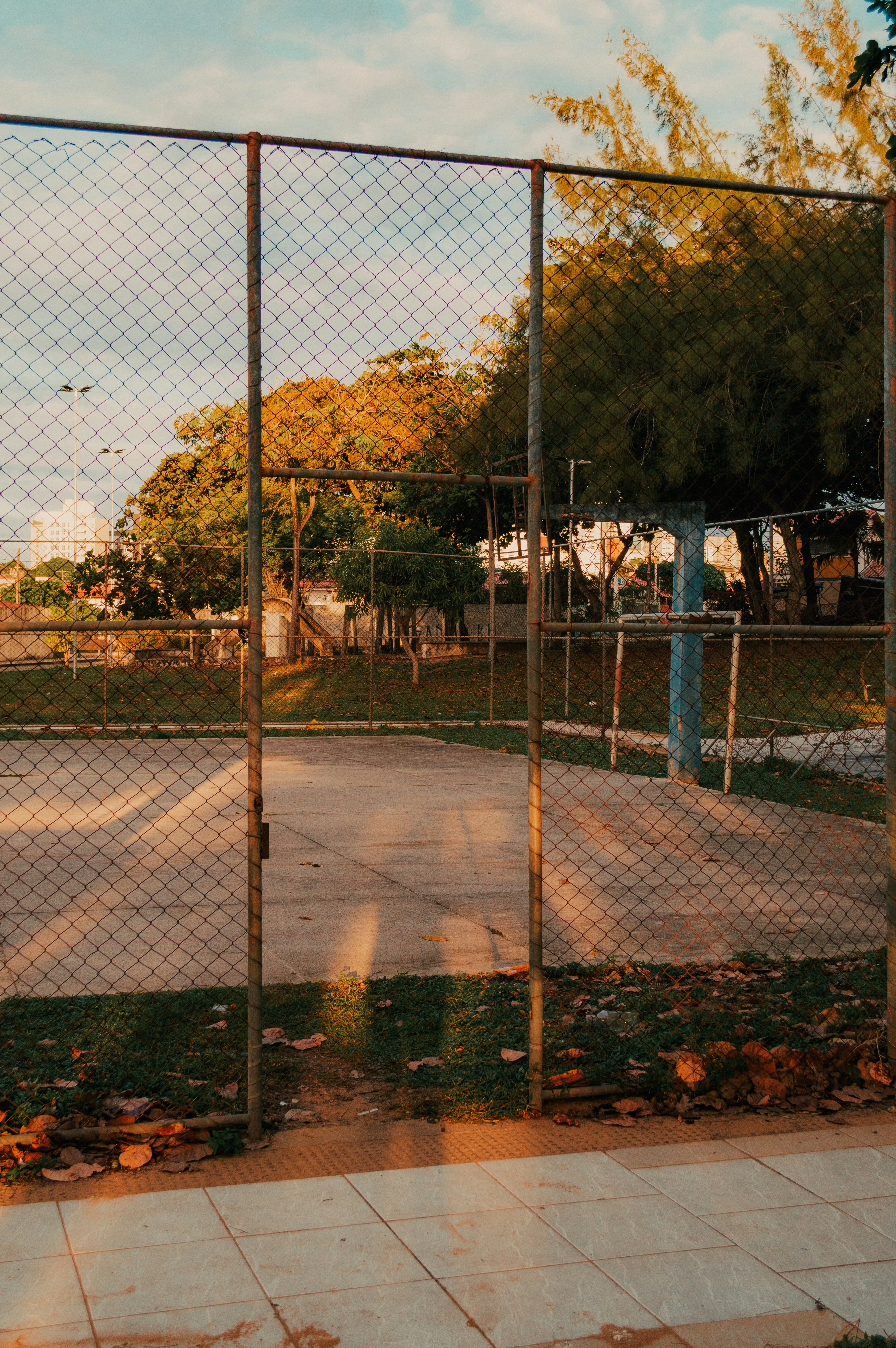 Chain-link Portal: Evening Field Through a Fence