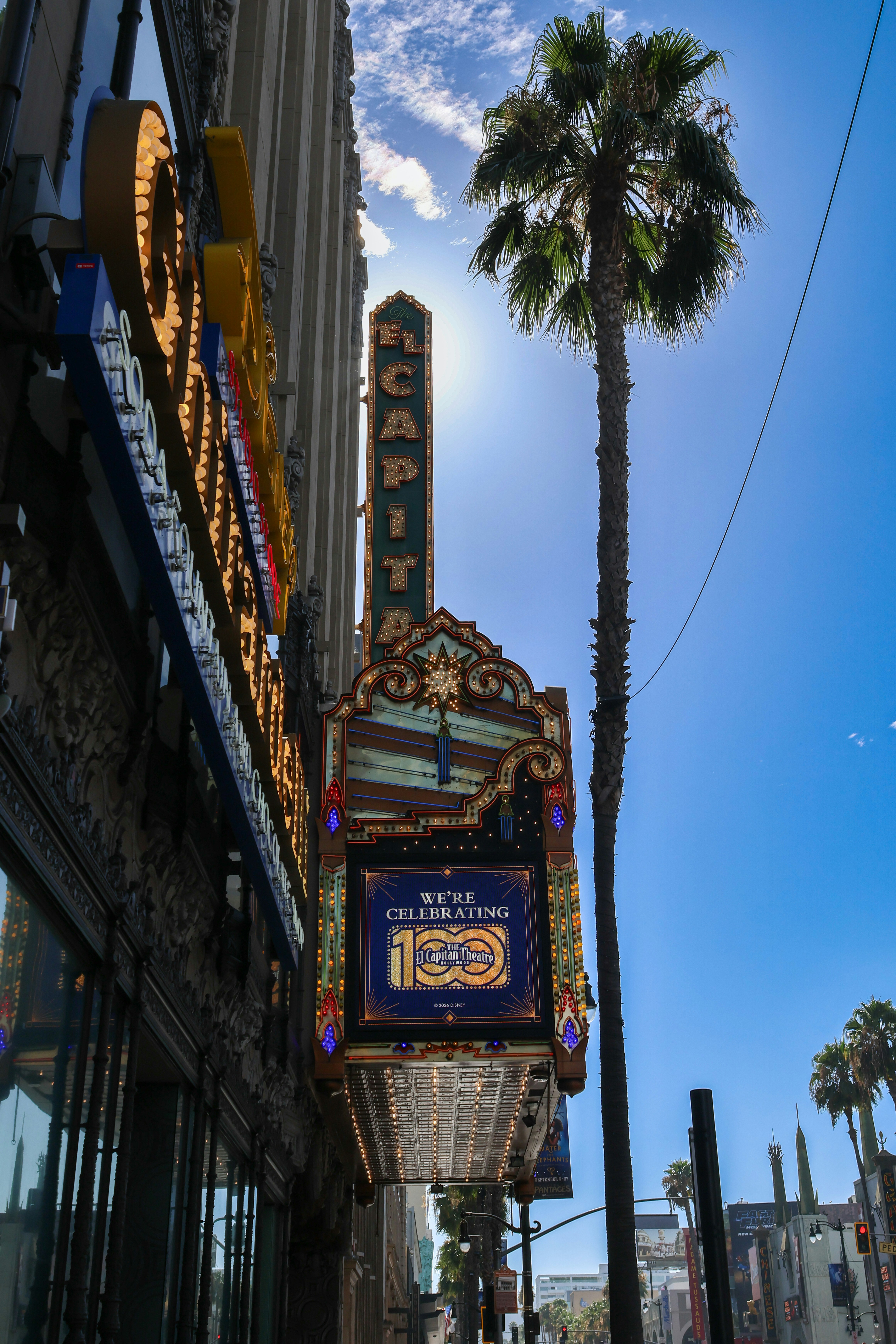 Neon Laurel: A cinema marquee climbs toward the blue noon