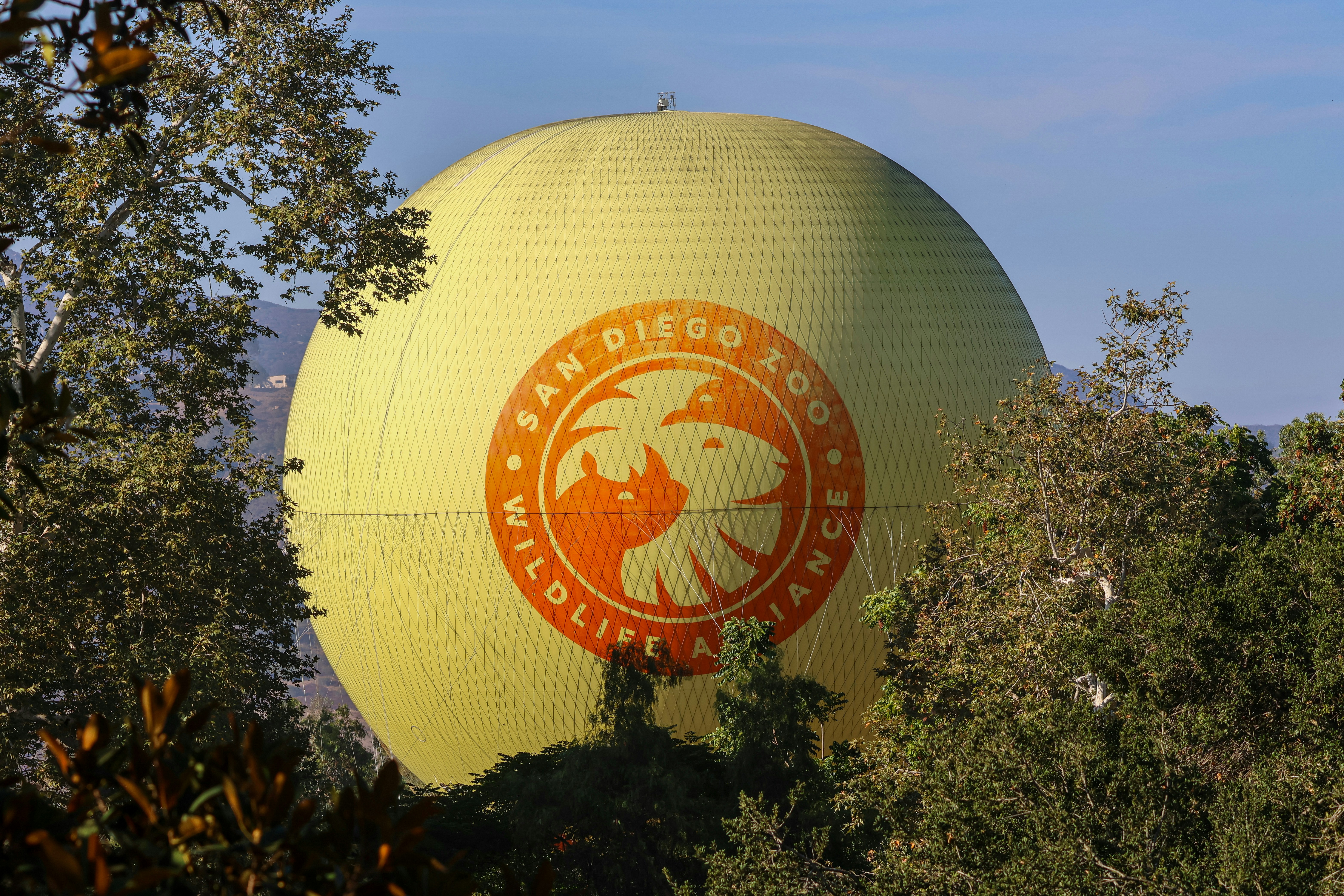 Giant Yellow Balloon at San Diego Wild Animal Park (Logo Balloon Over Trees)