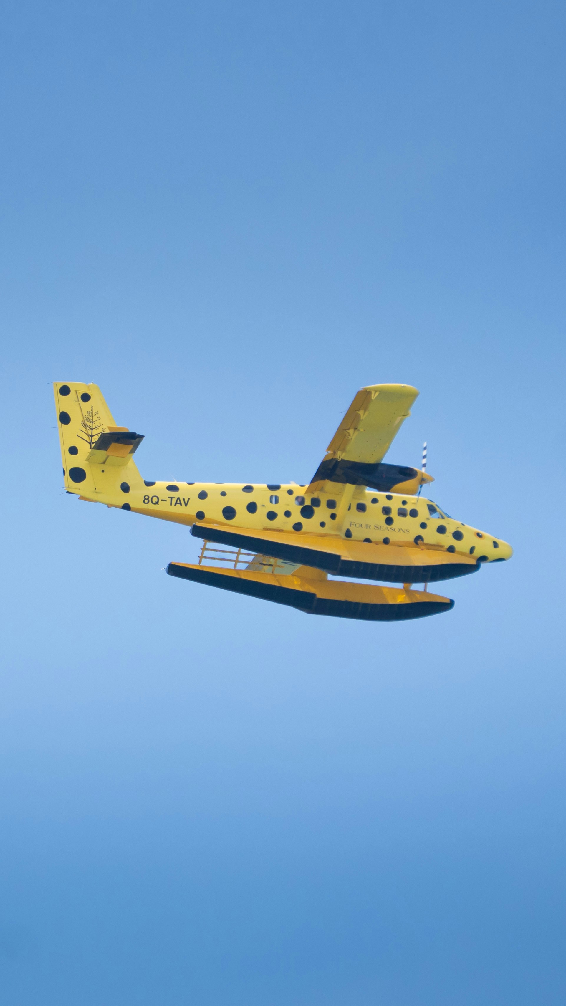 Bright yellow, polka-dotted aircraft glides through a pale blue sky, showcasing a dramatic mid-flight profile and landing gear retracted. This is a detailed photo of a unique plane, highlighting its bold livery and motion.