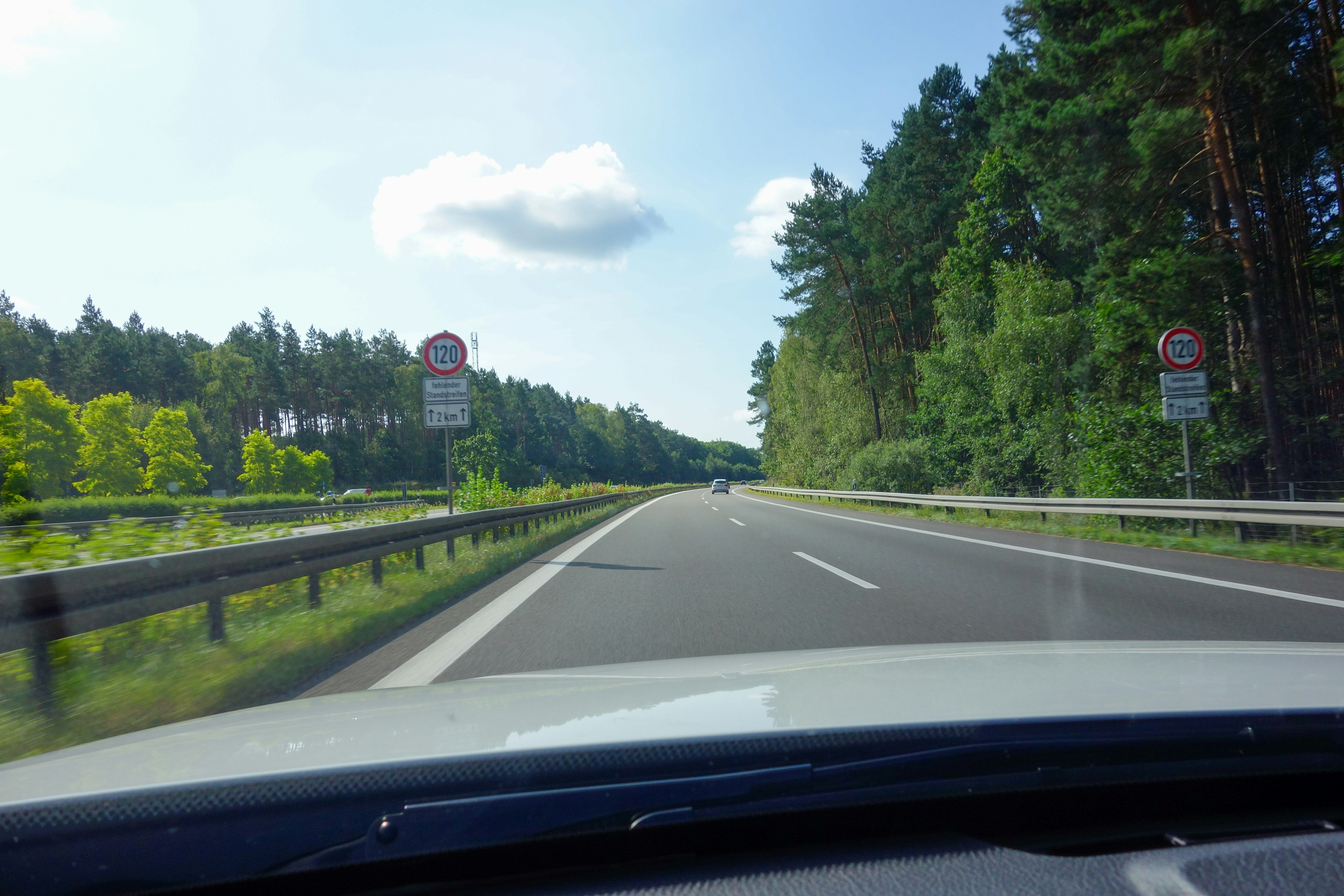 Highway Through a Green Corridor