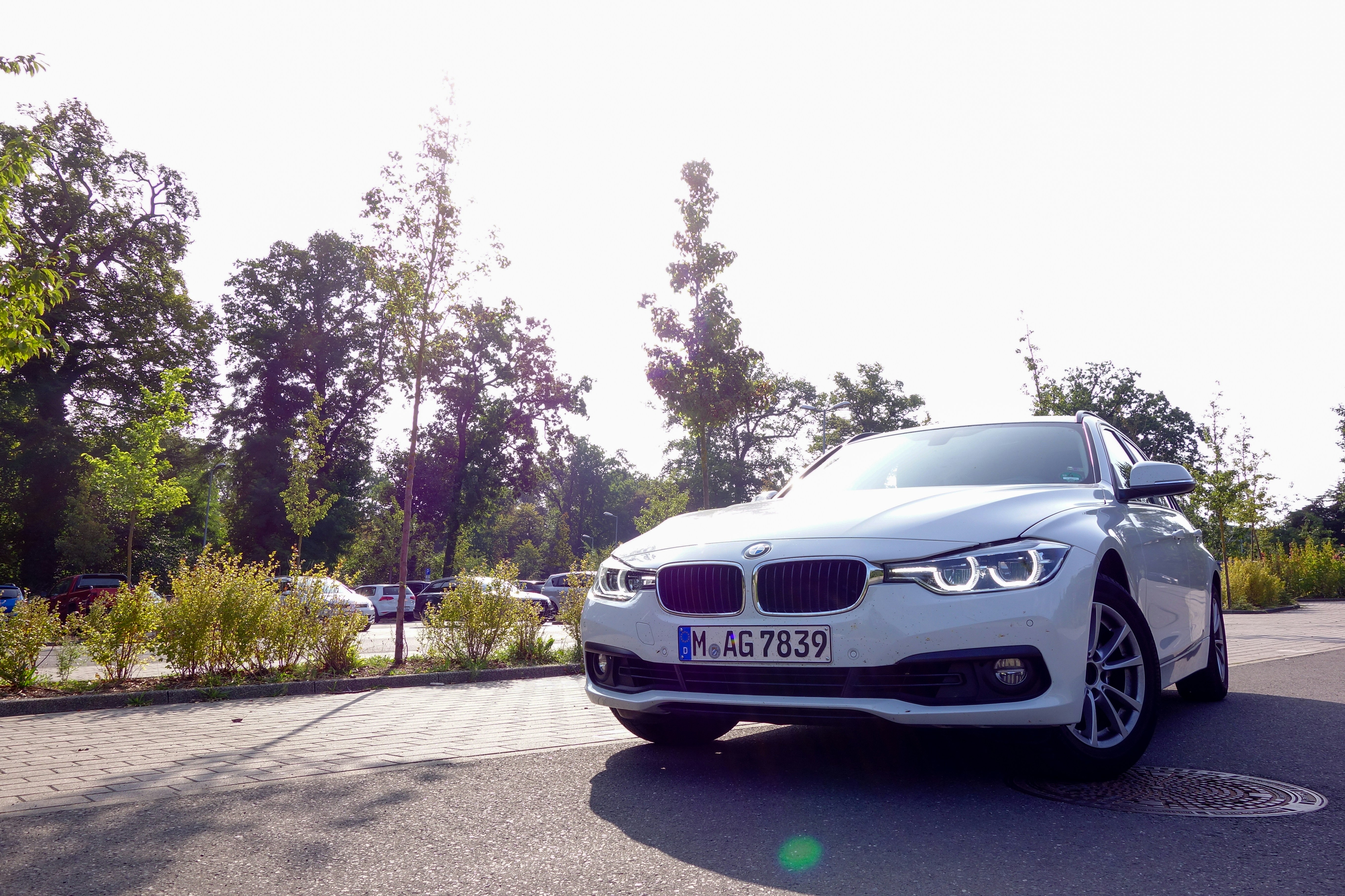 Aggressive Silver Sedan Under Sunlit Canopy