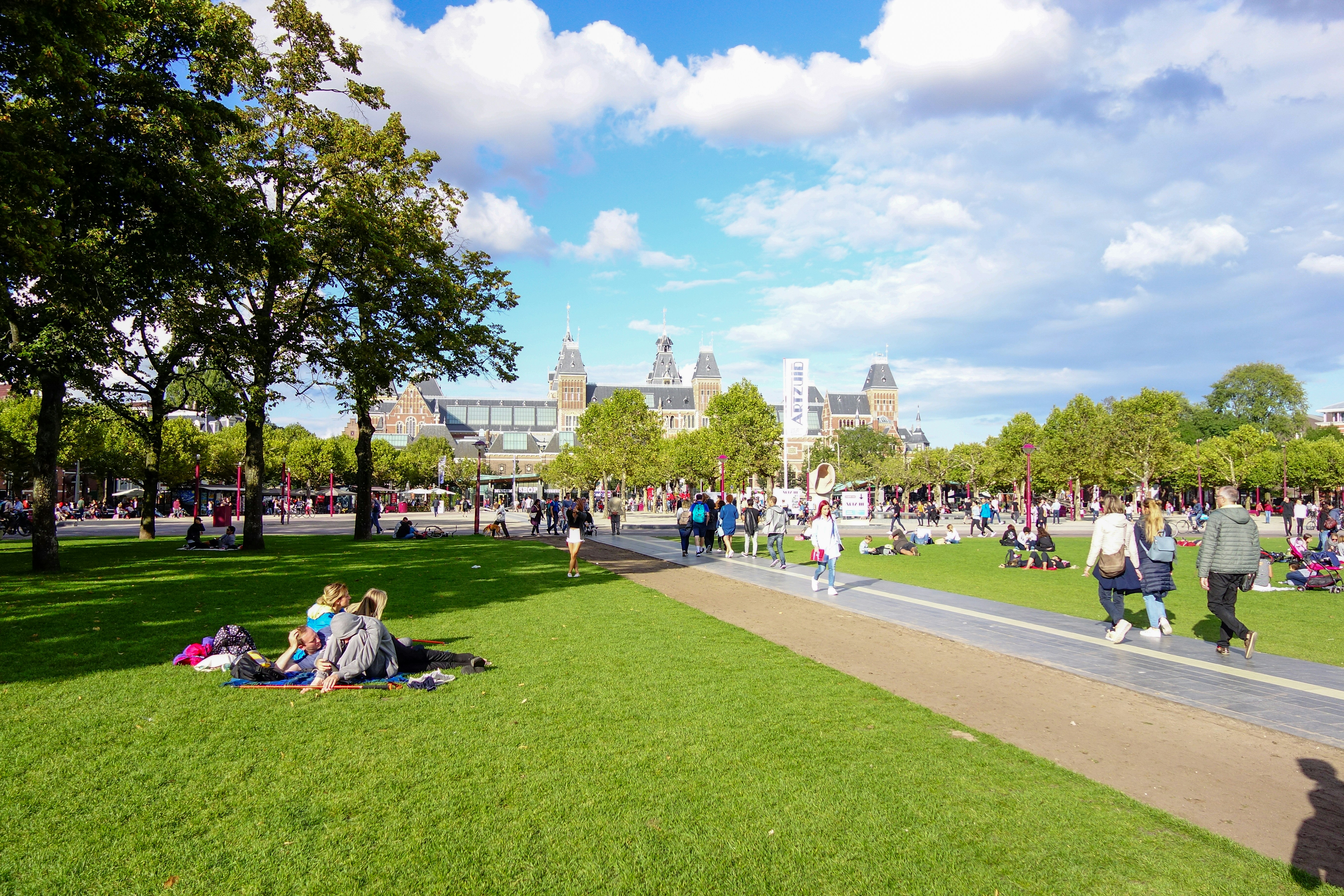 Sunlit Park Gathering with Historic Campus Facade Across the Lawn