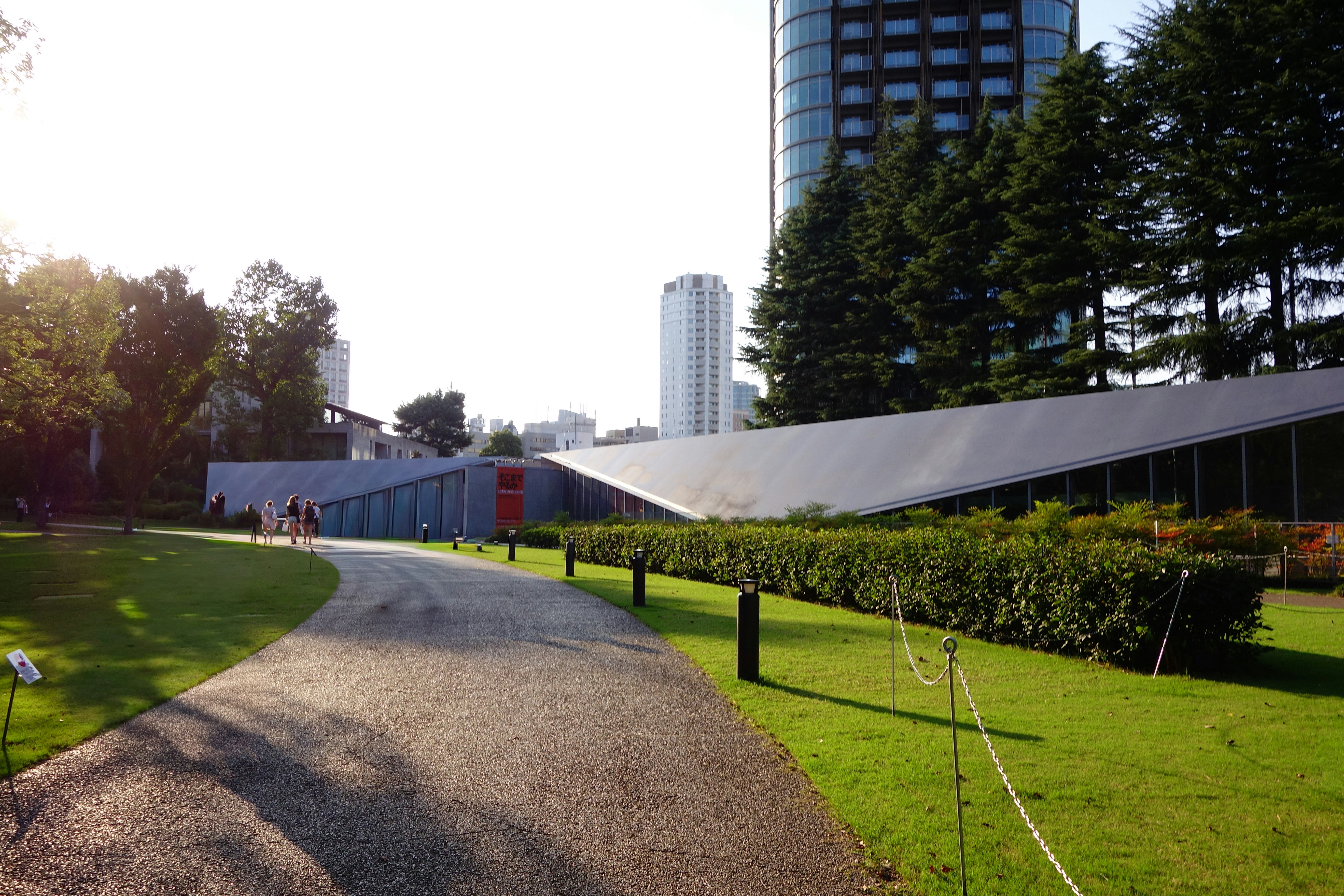 Sunlit Park Path Framed by Modern Architecture