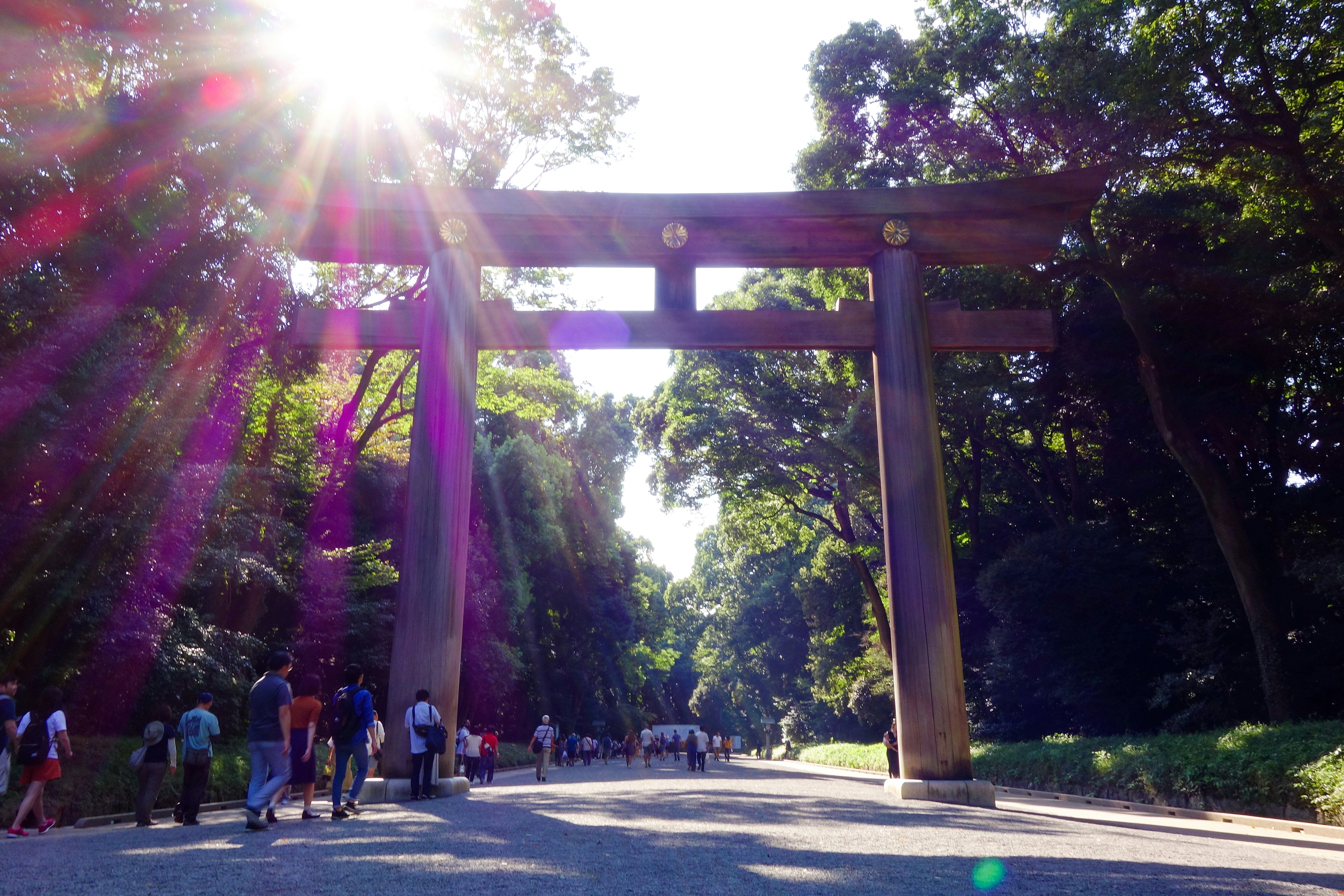 Sunlit Torii Gate in a Shaded Path
