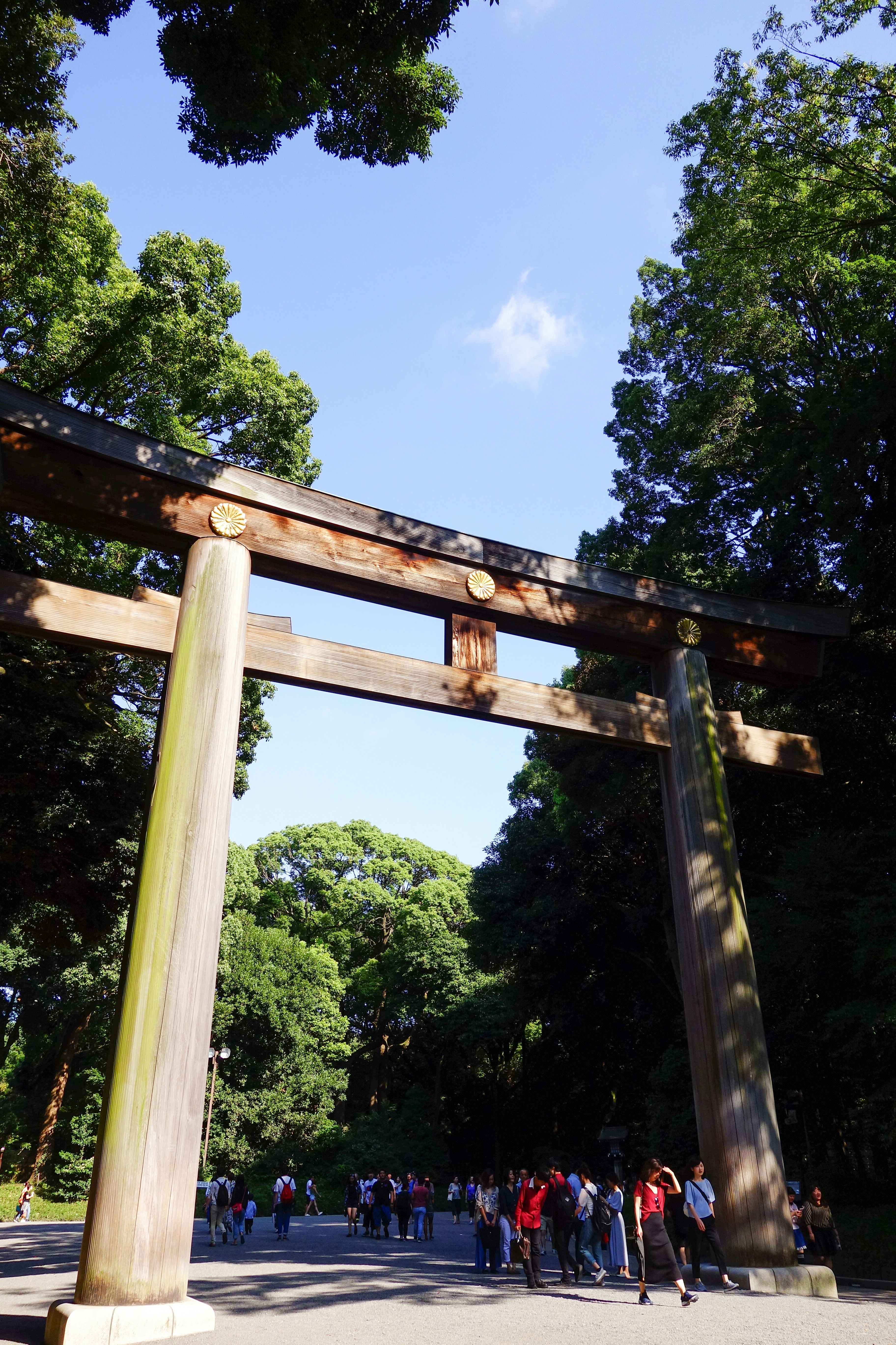 Torii Gate in a Sunlit Park Corridor