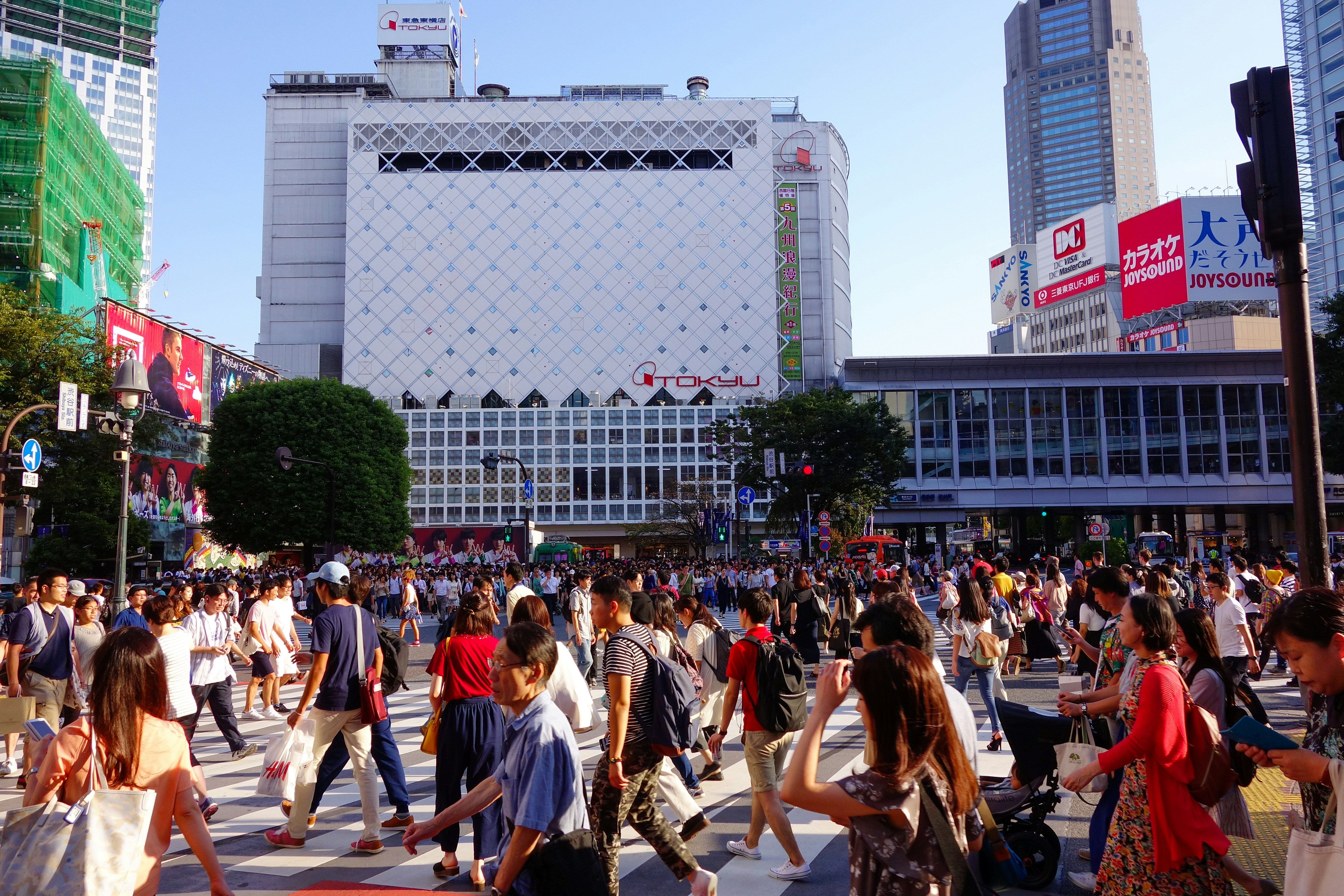 Crossing Pulse: A Tokyo Street Scene in Motion