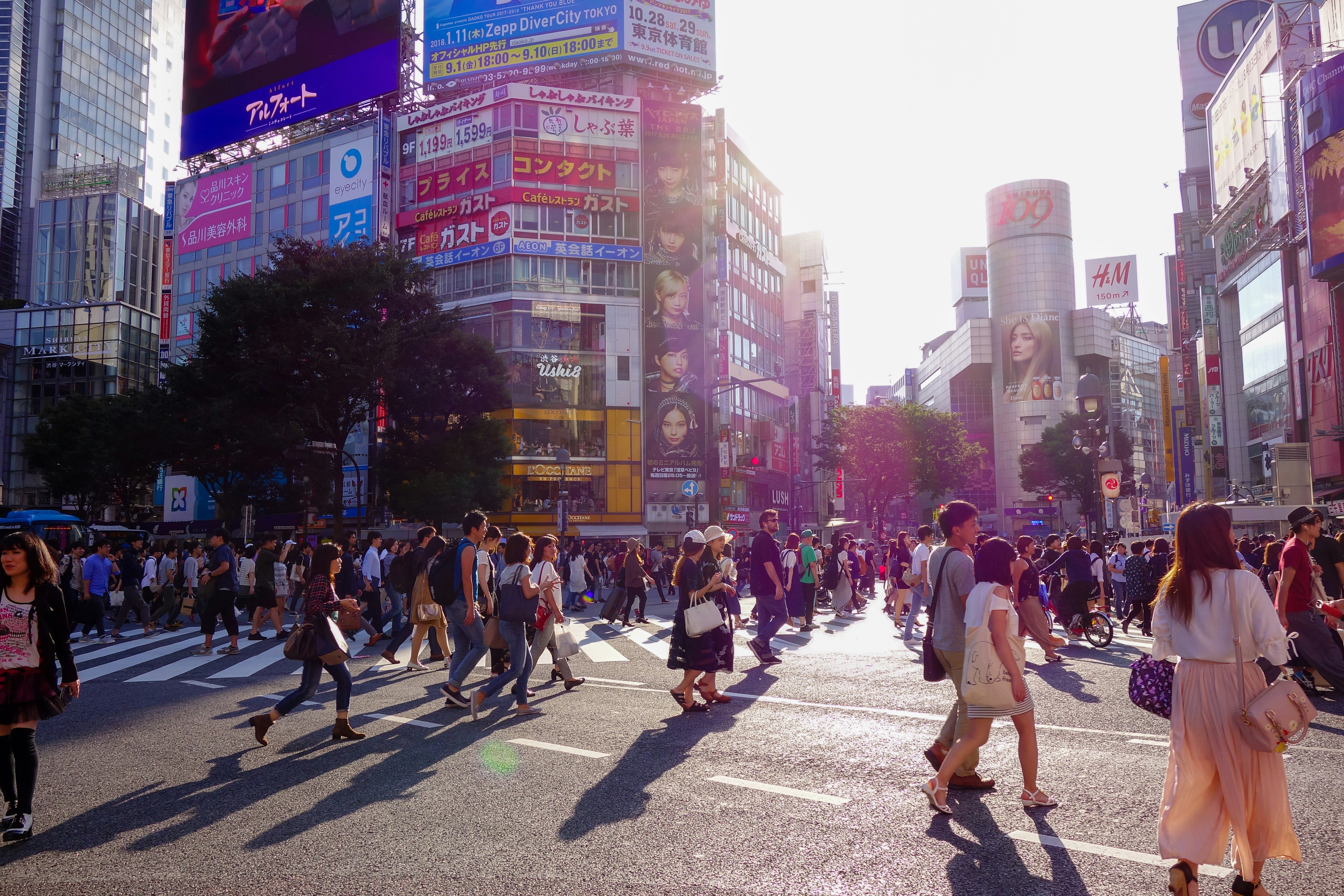 Crosswalk Pulse: Neon City Crossings at Dusk