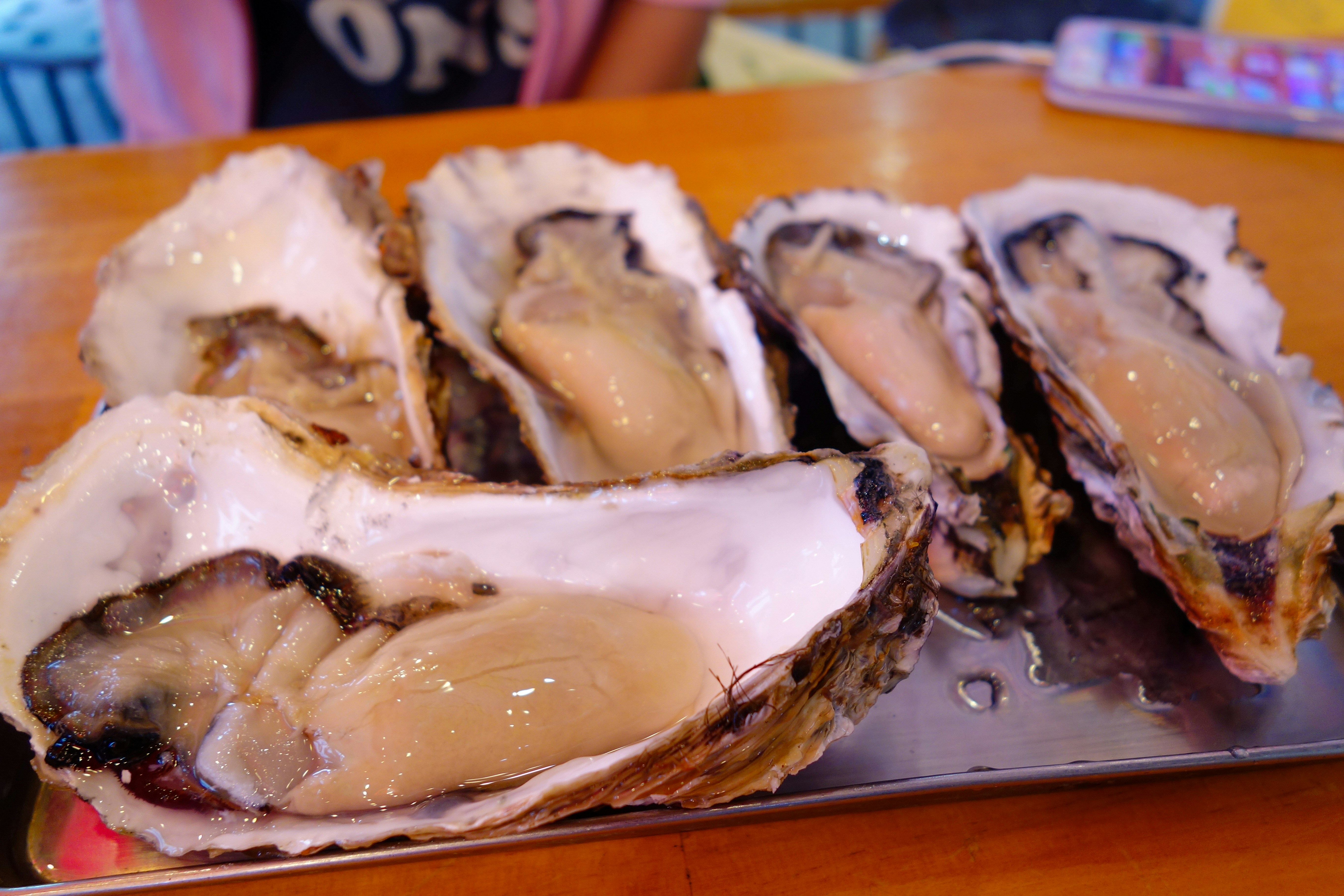 Oyster Bounty on Ice: A Row of Briny Delicacies