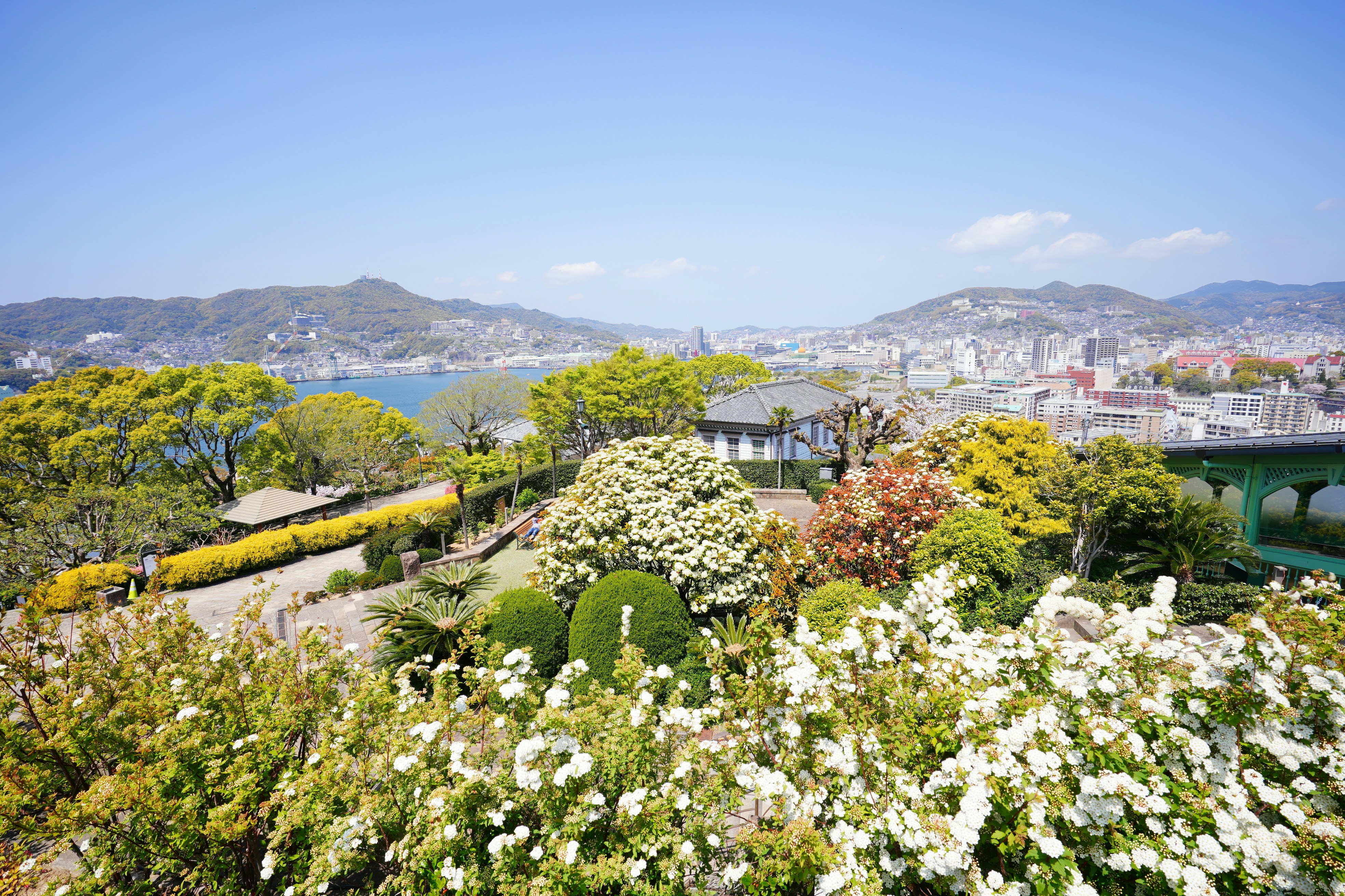 Blooming Terrace Overlooking a Coastal City