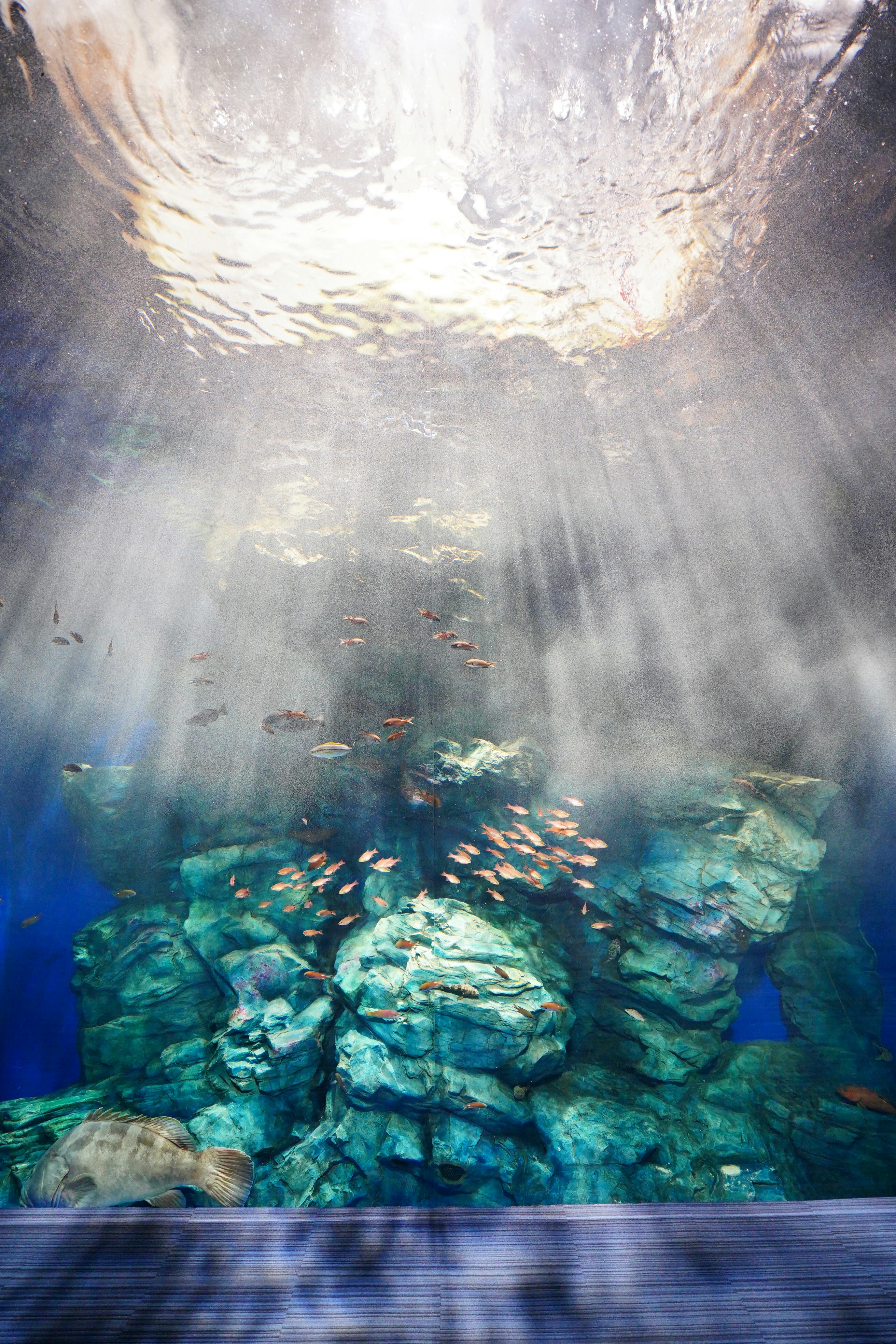 Underwater Glow: Rays of Light Through a Rocky Marine Exhibit