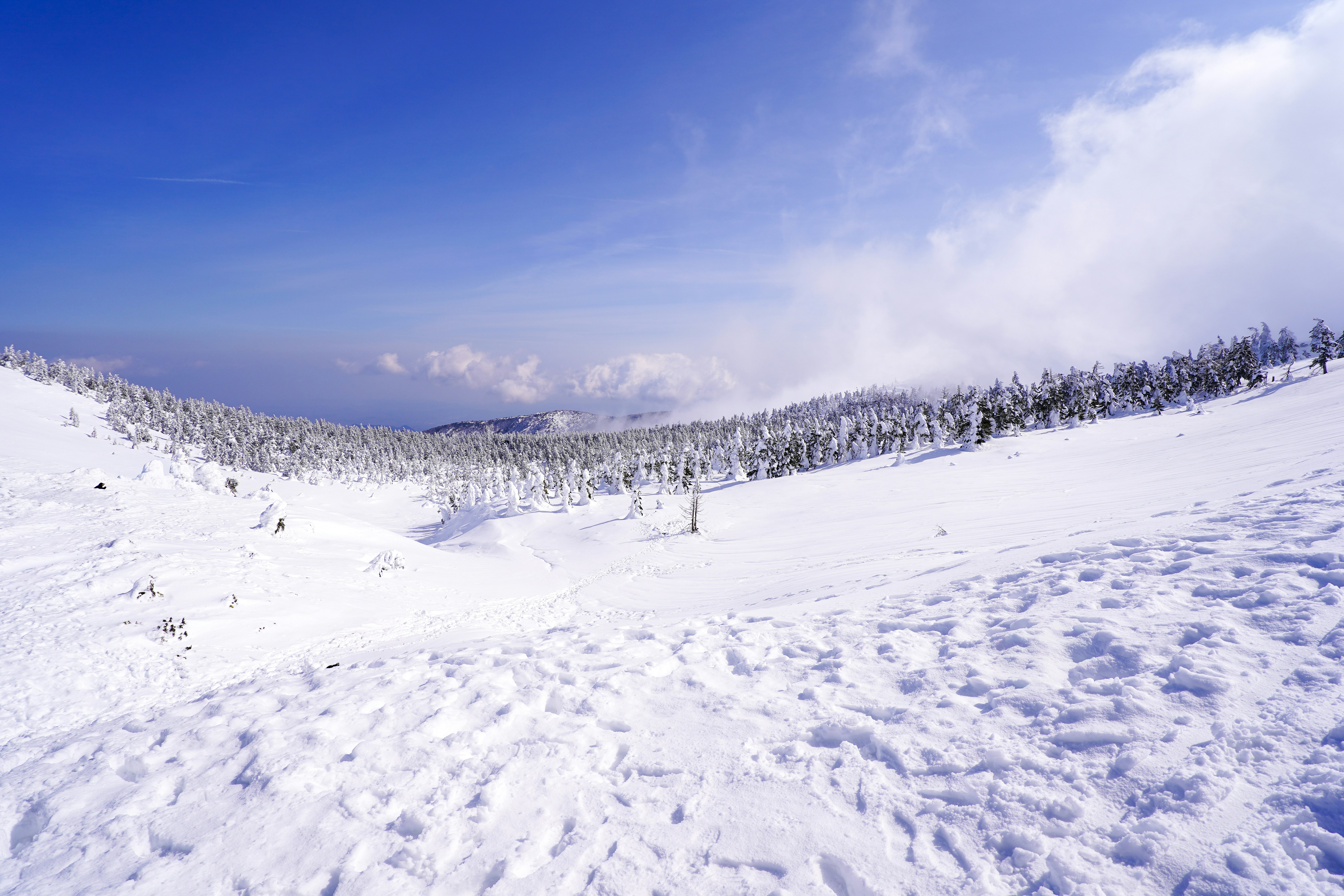 Panoramic view of a snow-covered valley with a forest of frosted juhyo trees and clouds rolling over the ridge at Mount Zao.