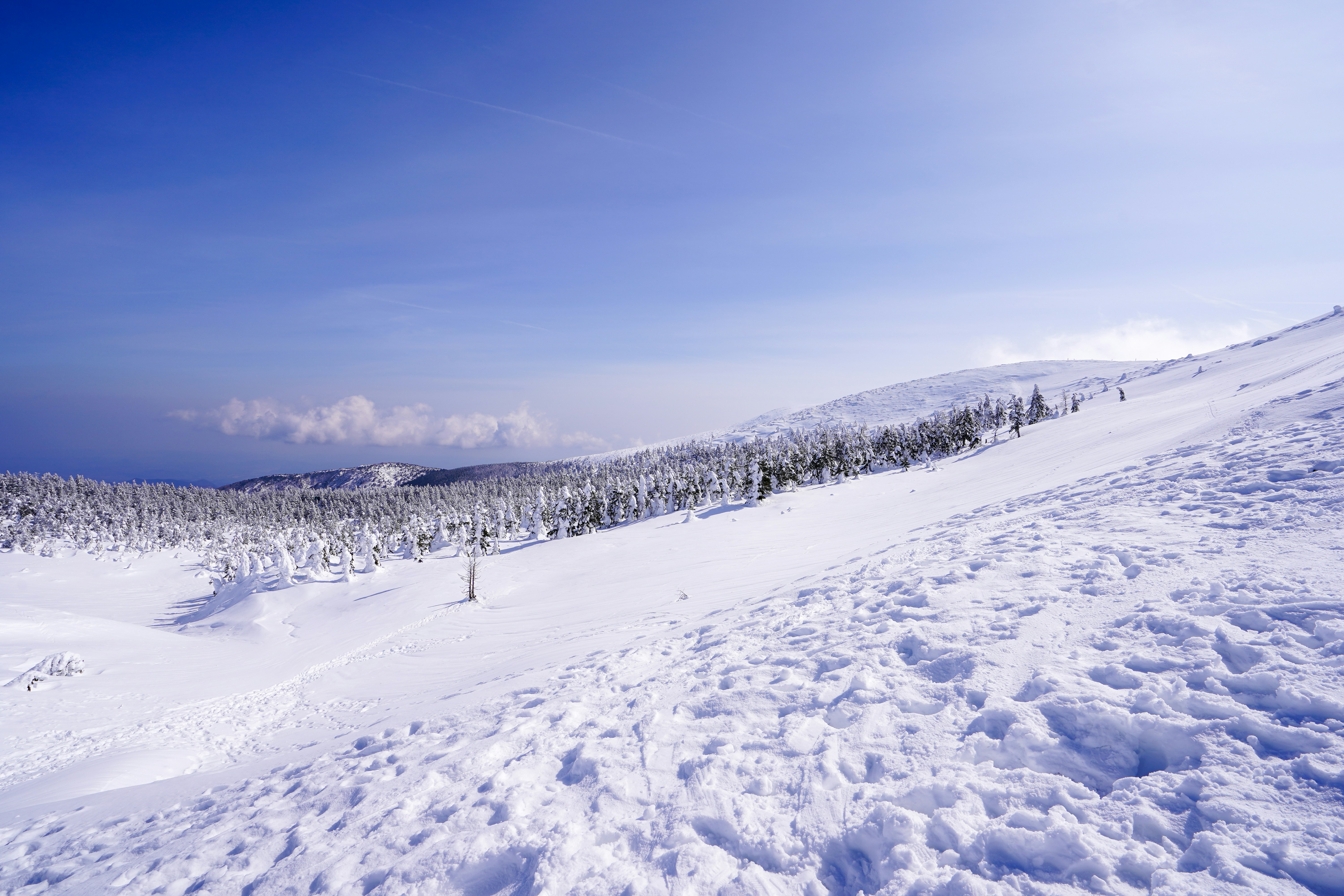 Snow-Crowned Ridge under a Velvet Sky