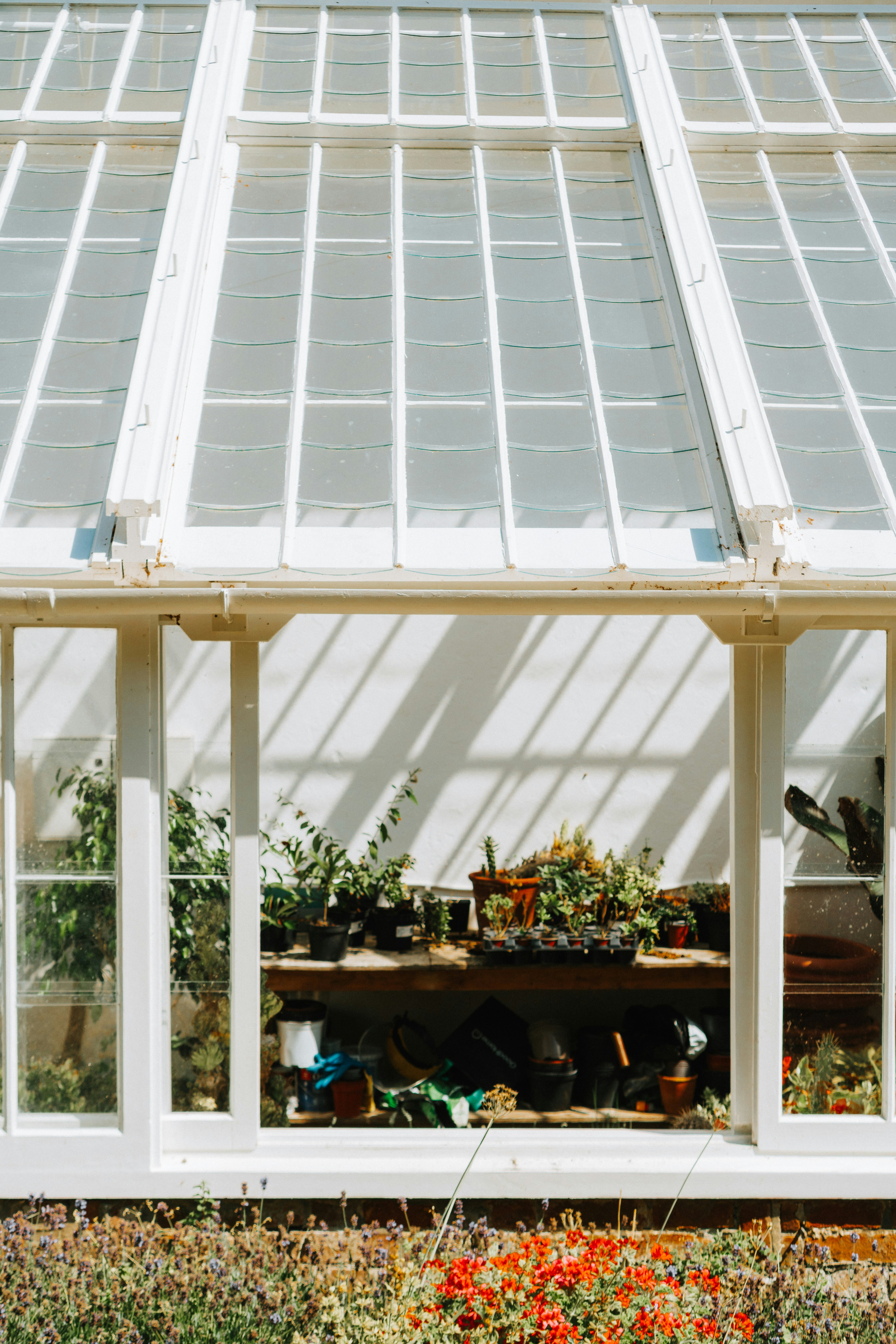 Sunlit Conservatory: A Window into Greenery