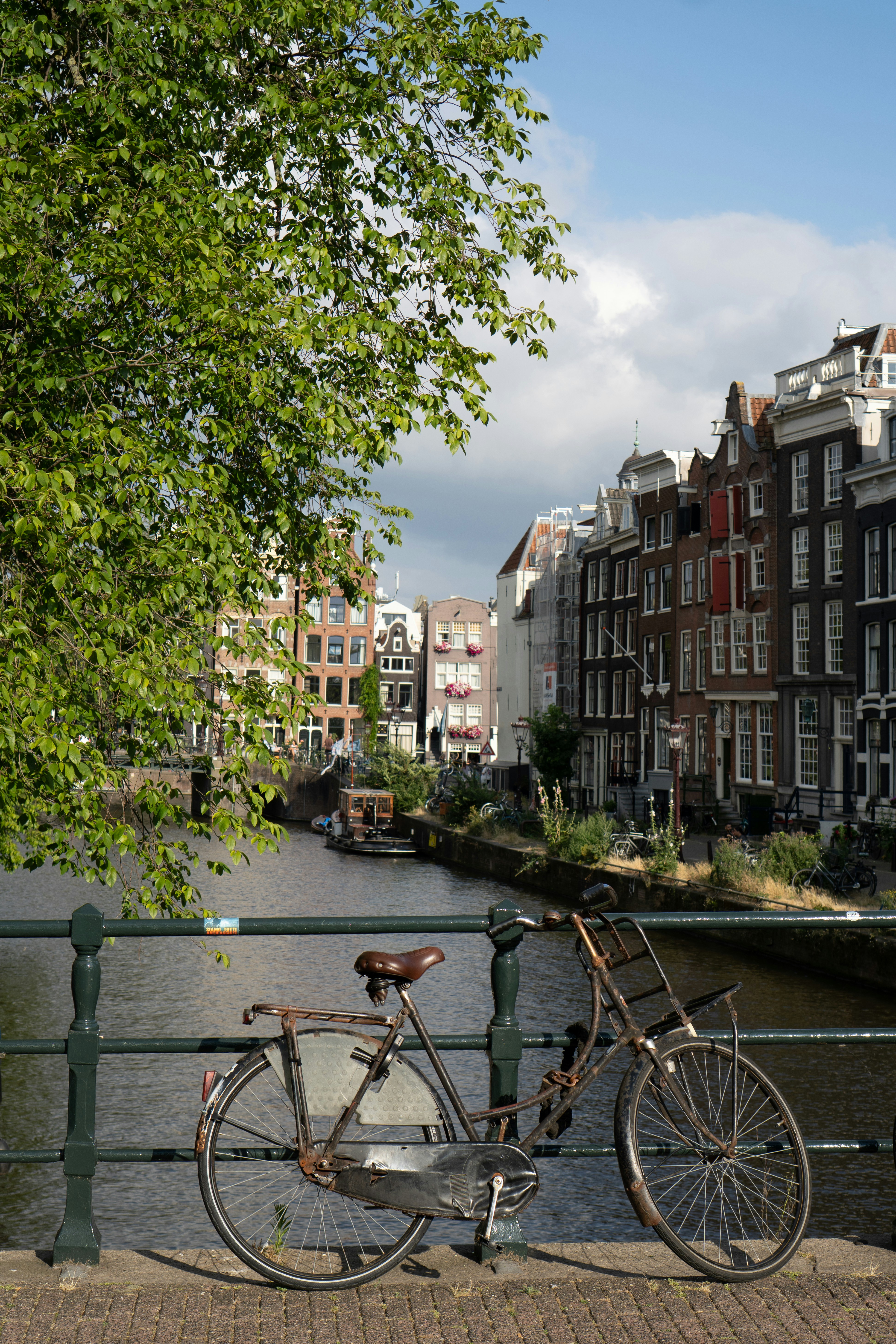 Bike by the Canal: A Dutch City Portrait