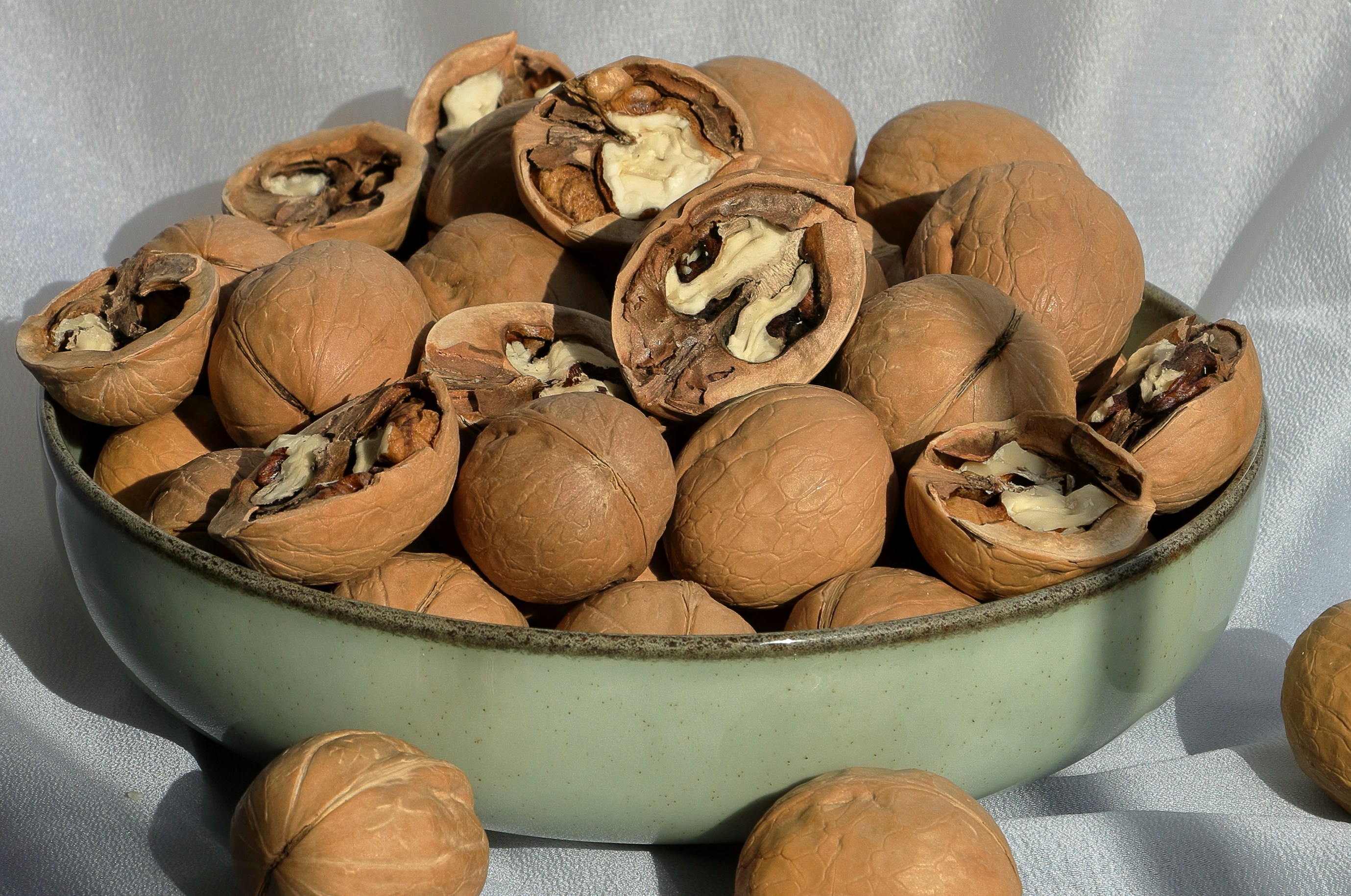 Open-Caced Walnuts: A Bowl of Cracked Shells and Nutmeat