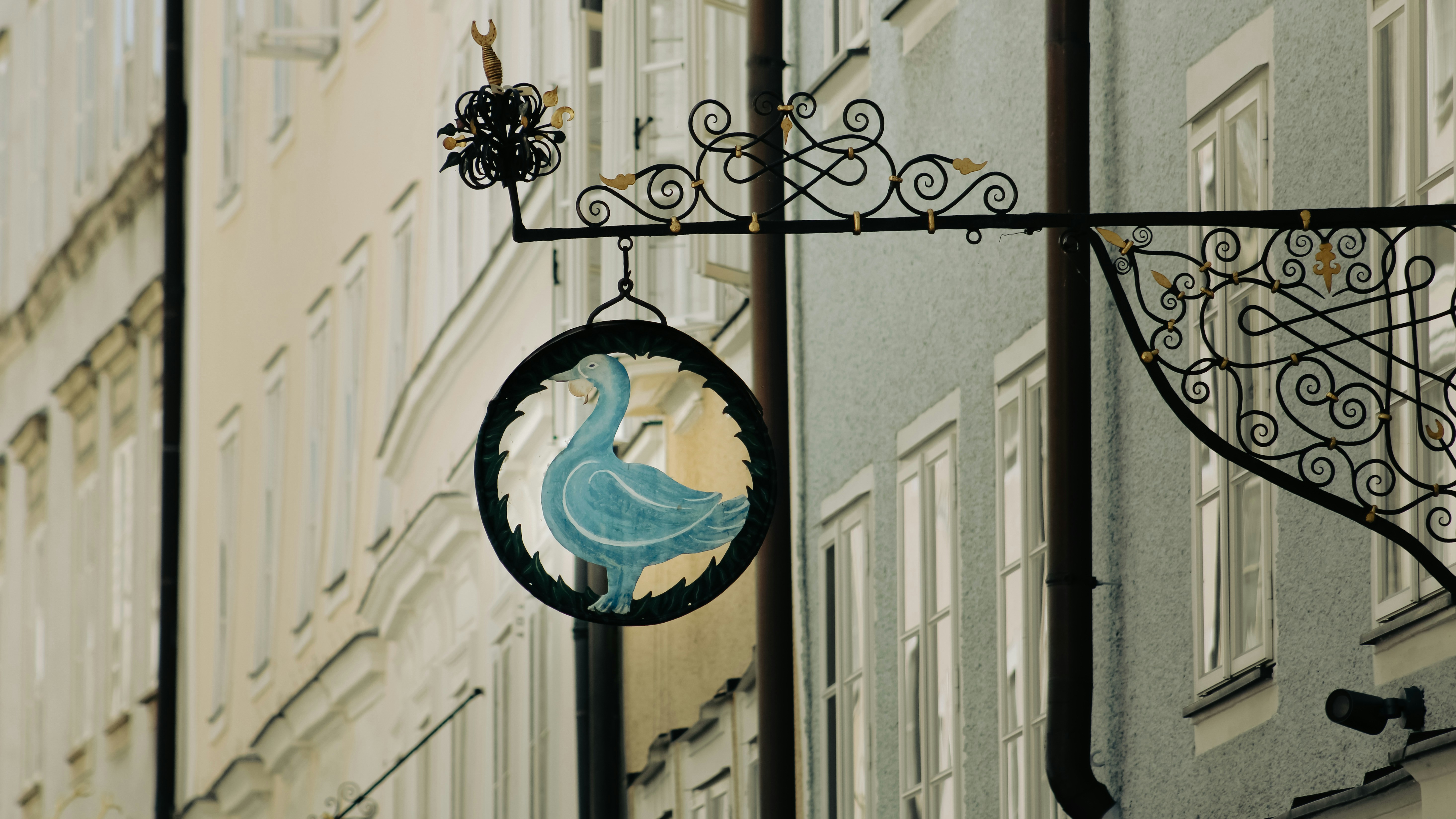 Blue Heron Emblem Adrift on a Narrow European Façade