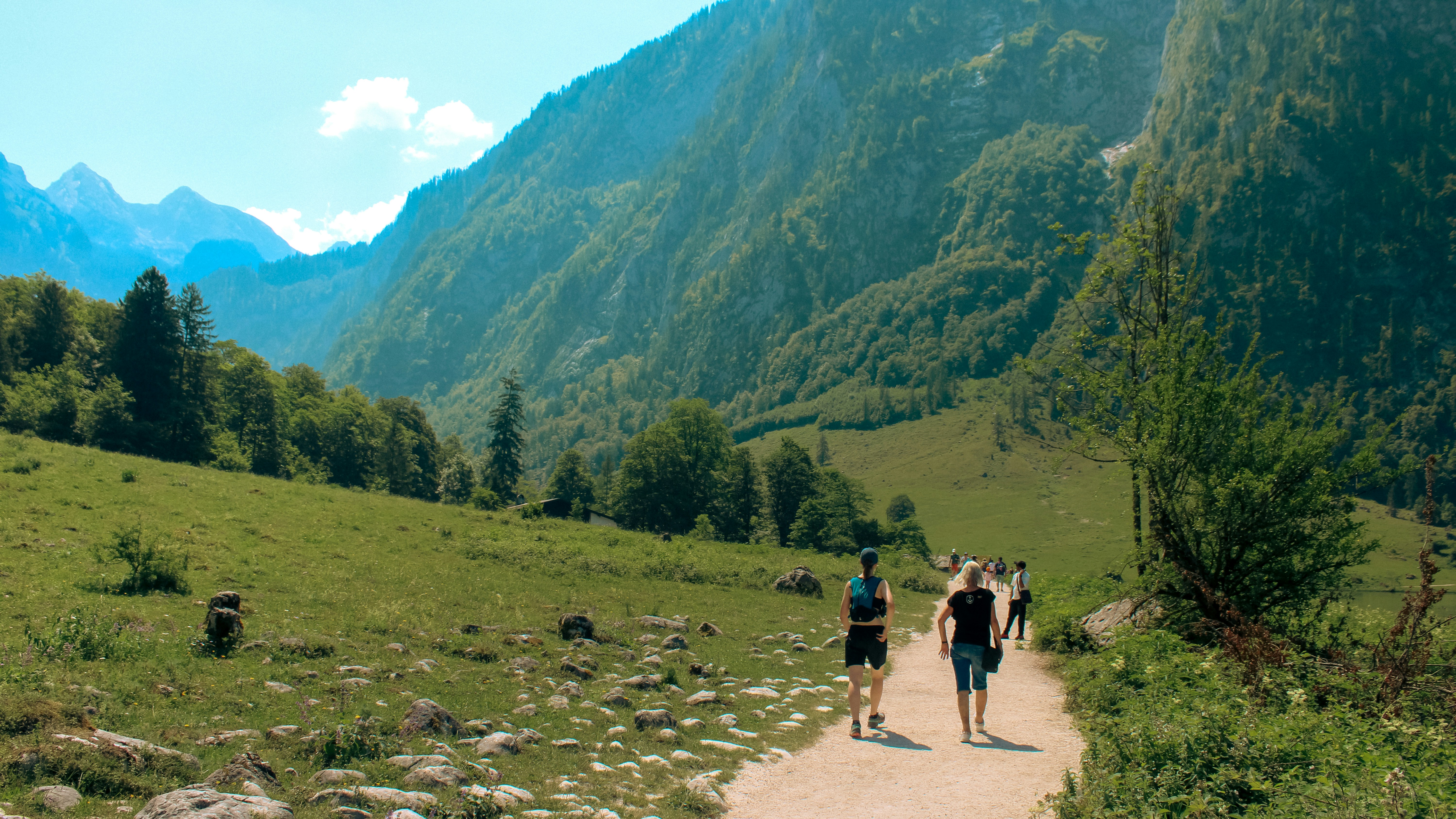 Trail through Alpine Valley: hikers on a sunlit path with a distant range