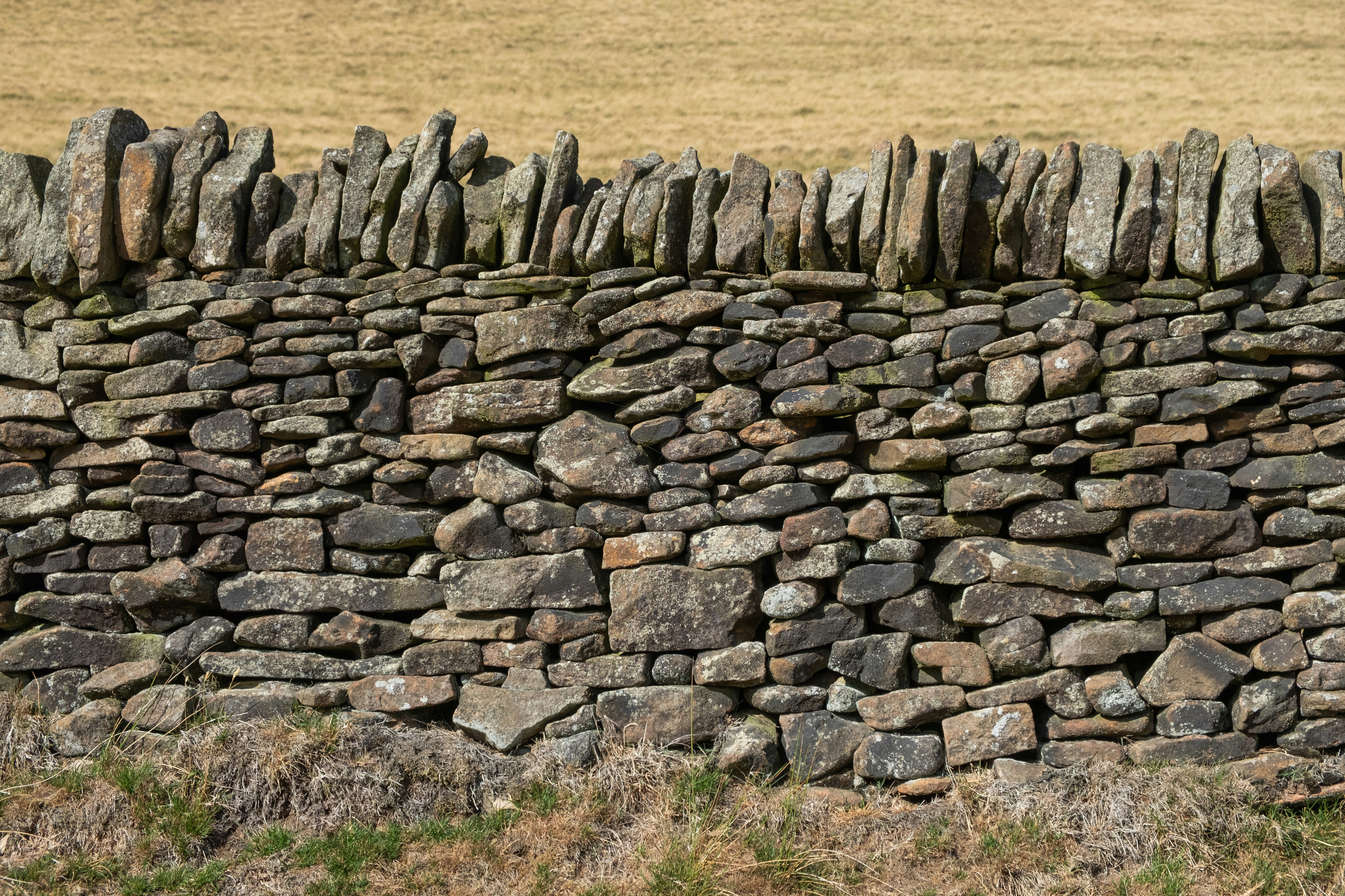 Dry Stone Wall Beyond the Parched Field