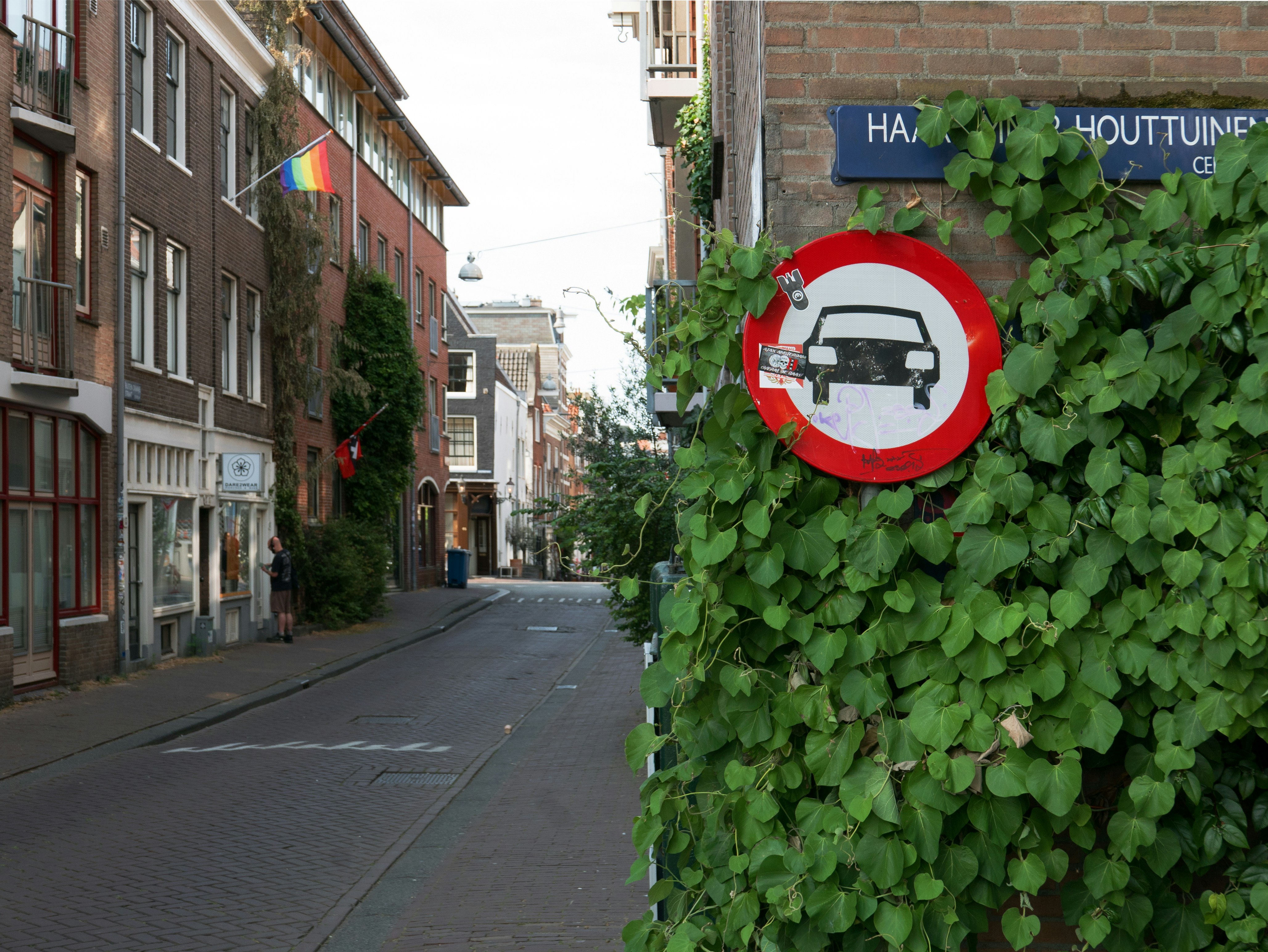  ivy-clad street corner with no-entry sign peeking from the green wall