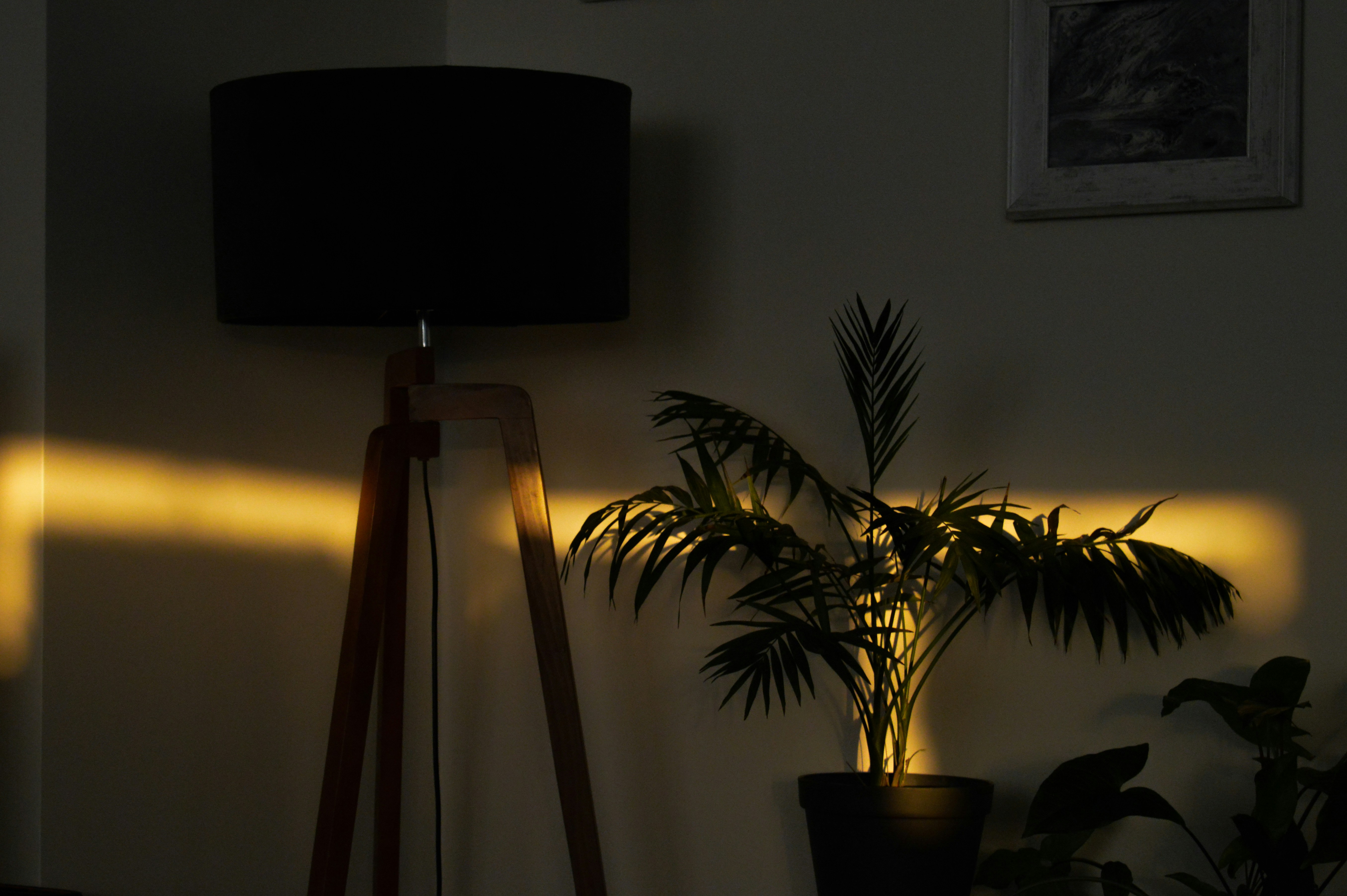 Warm Glow on a Quiet Corner