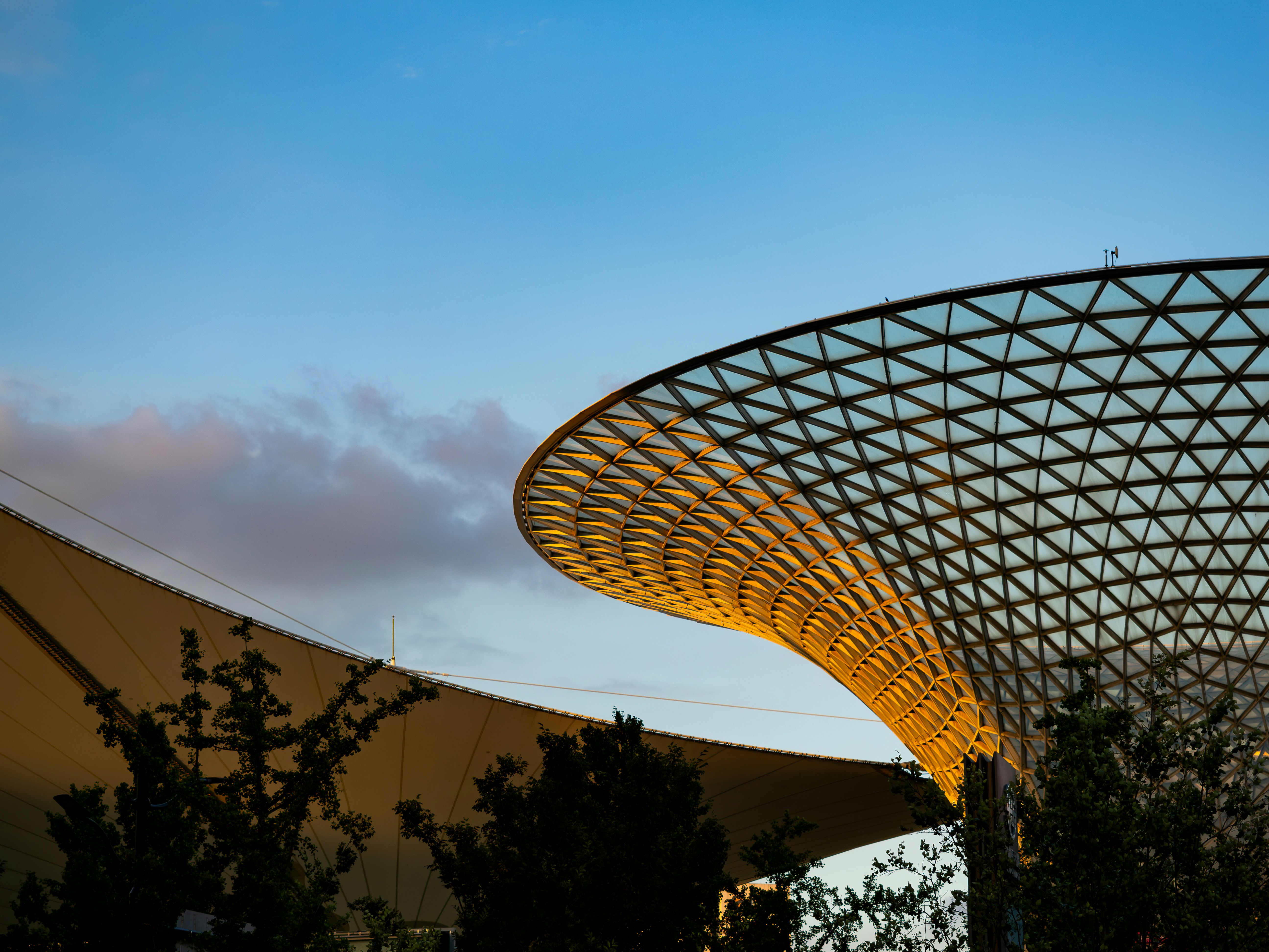 Curved lattice canopy catching the afternoon light