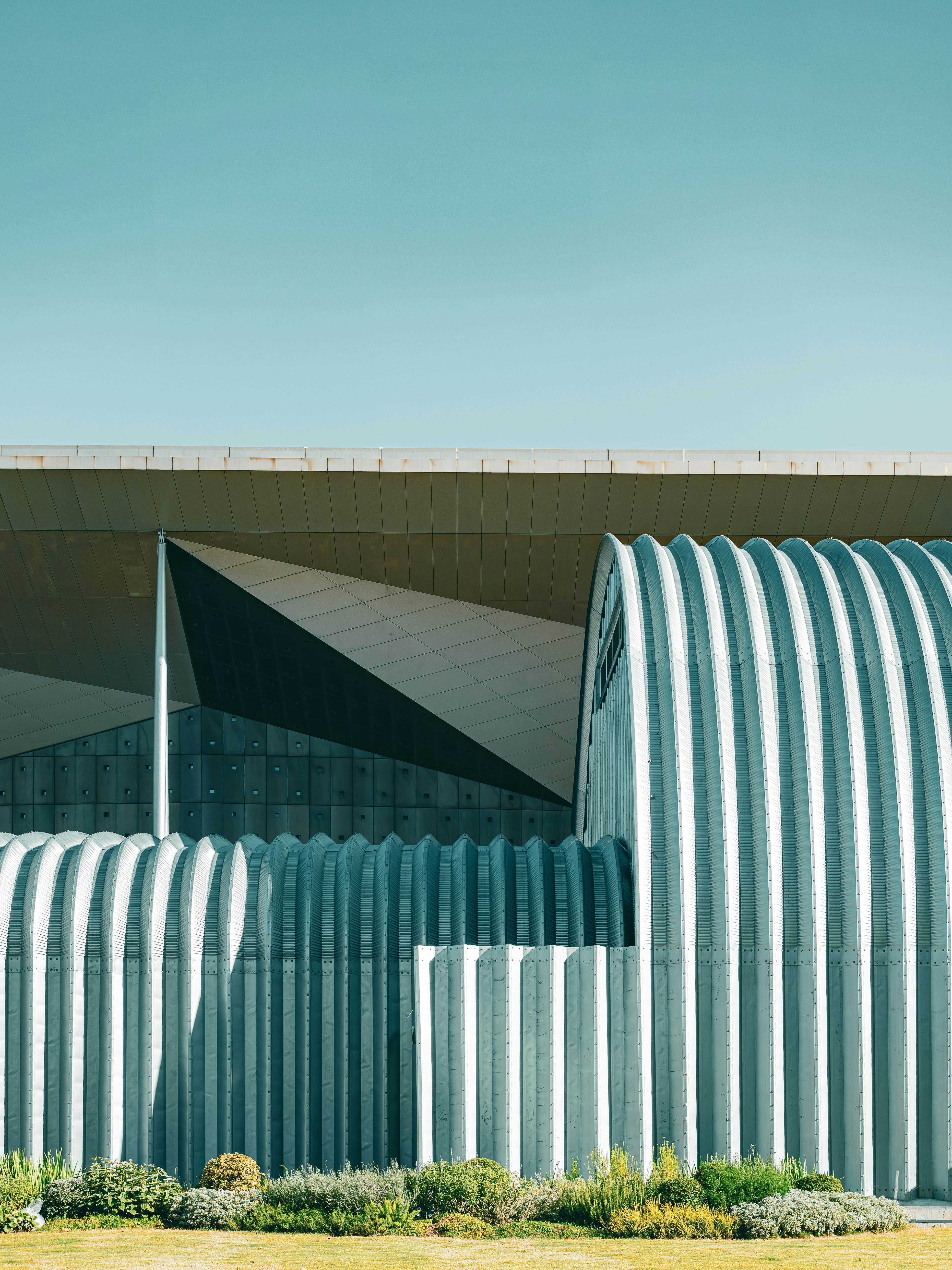 Curved Architecture in Minted Light