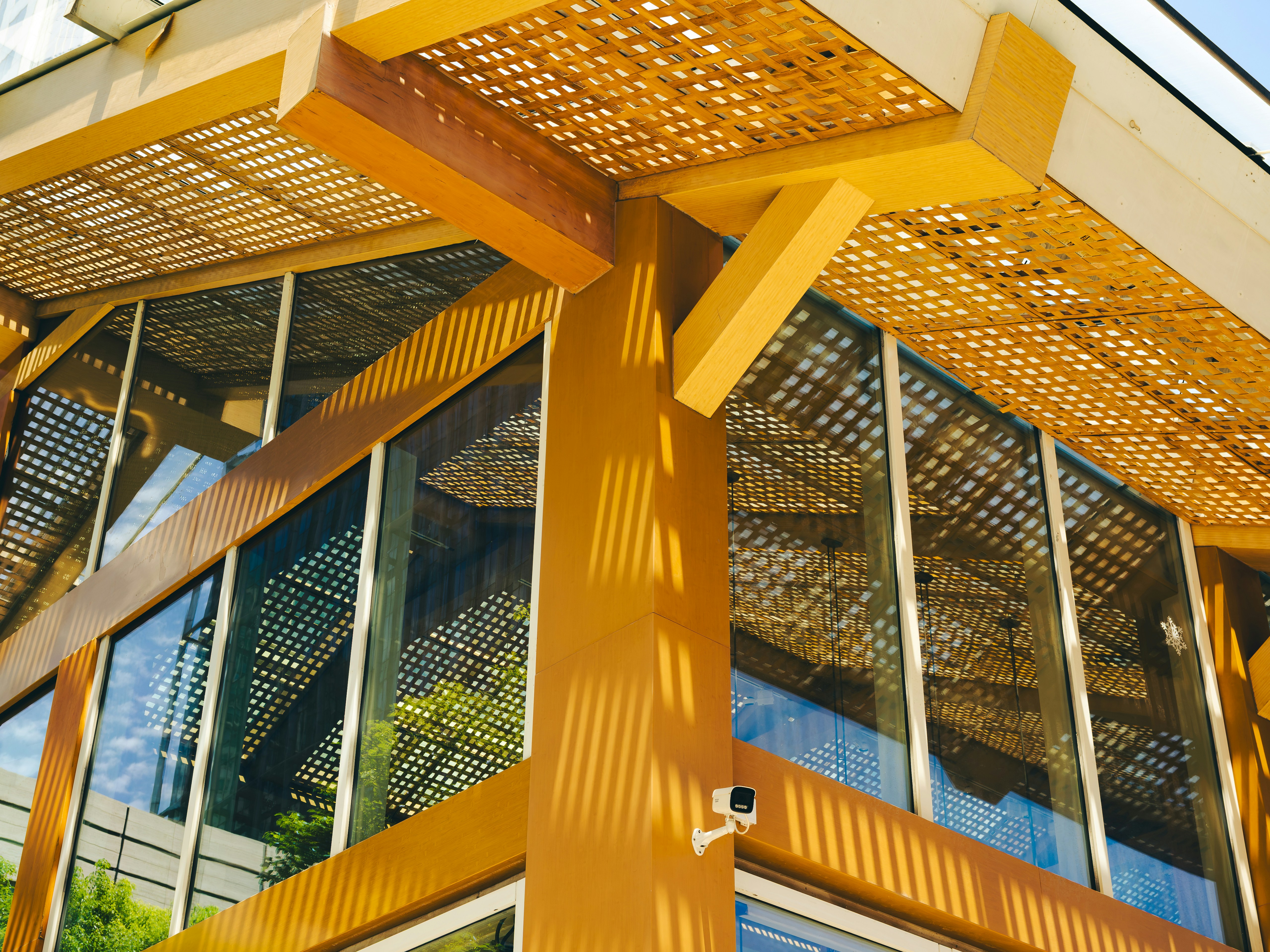 Golden Angles: Structural Grid in Sunlit Glass and Wood