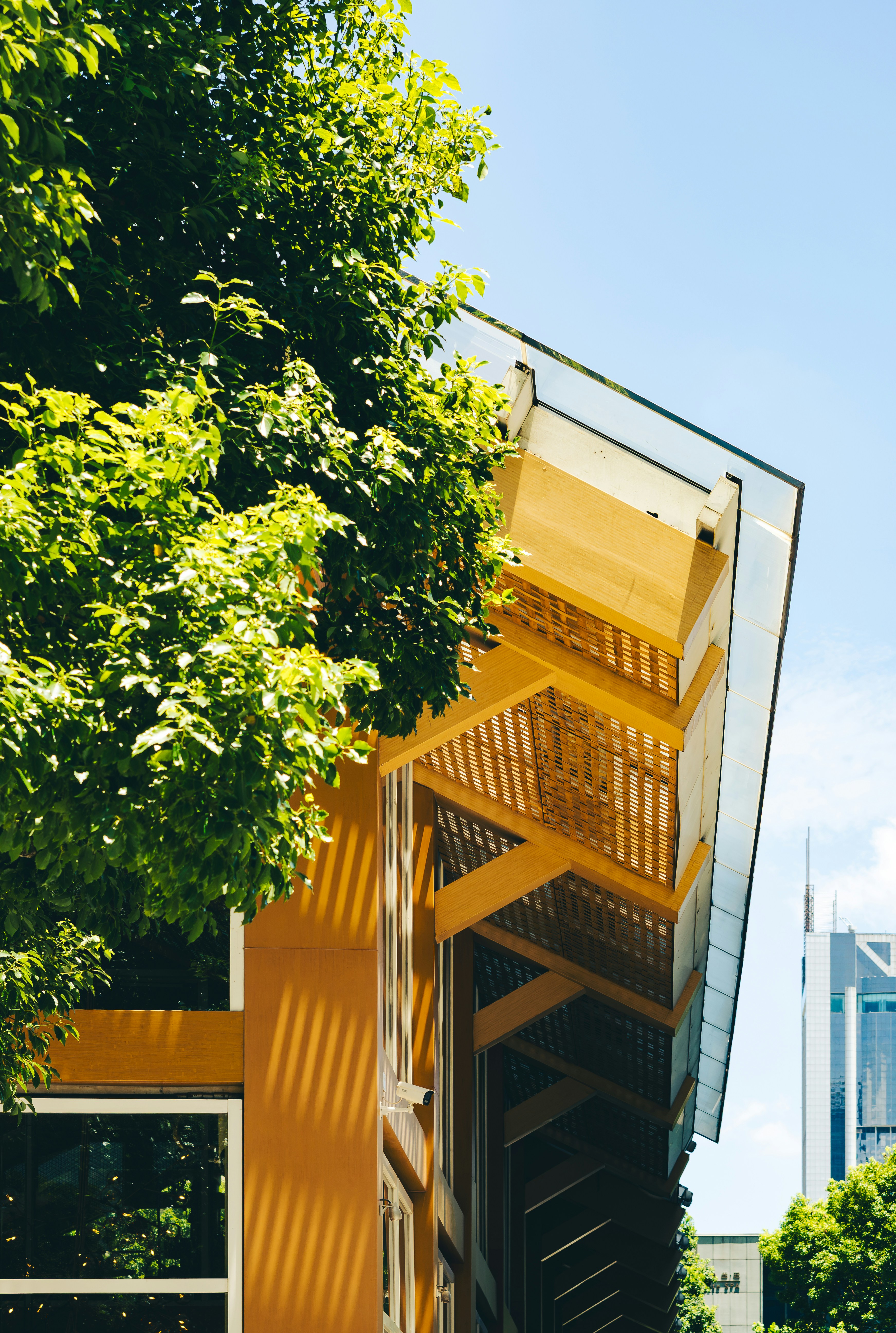 Sunlit Timber and Glass: A Modern Pavilion Rising beside Verdant Canopy