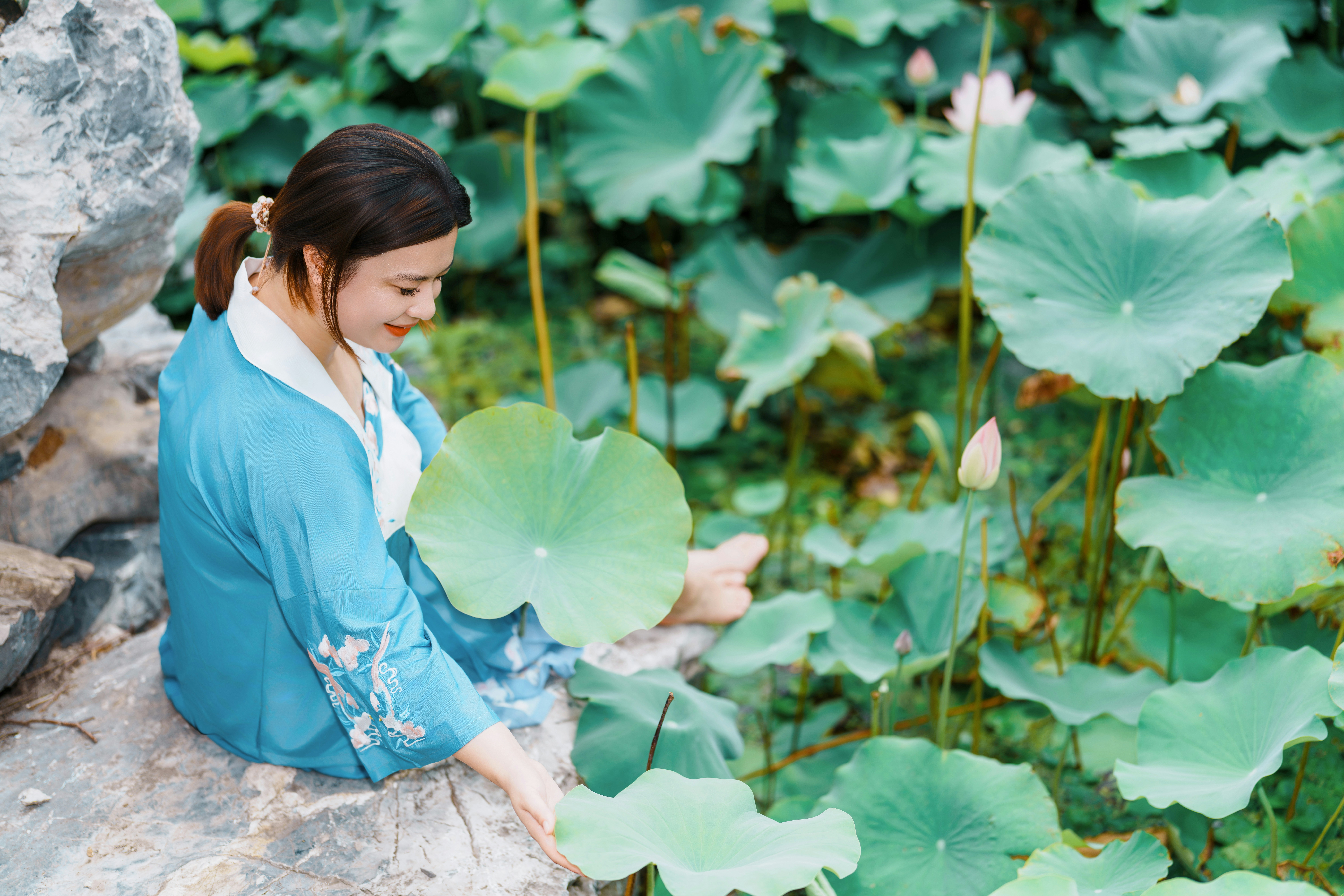 Soft Reverie Among Lily Pads