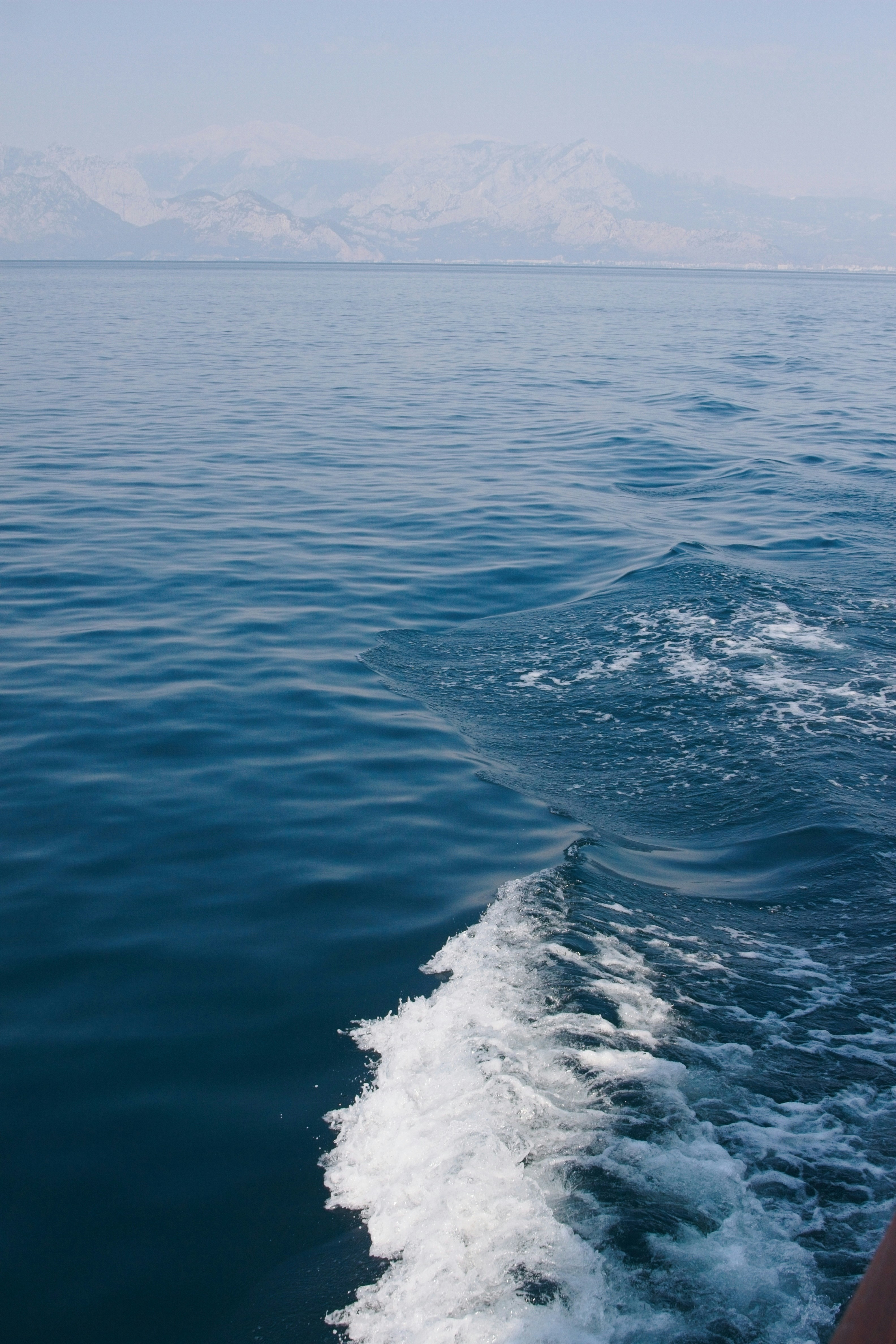 Wake of the Blue Horizon