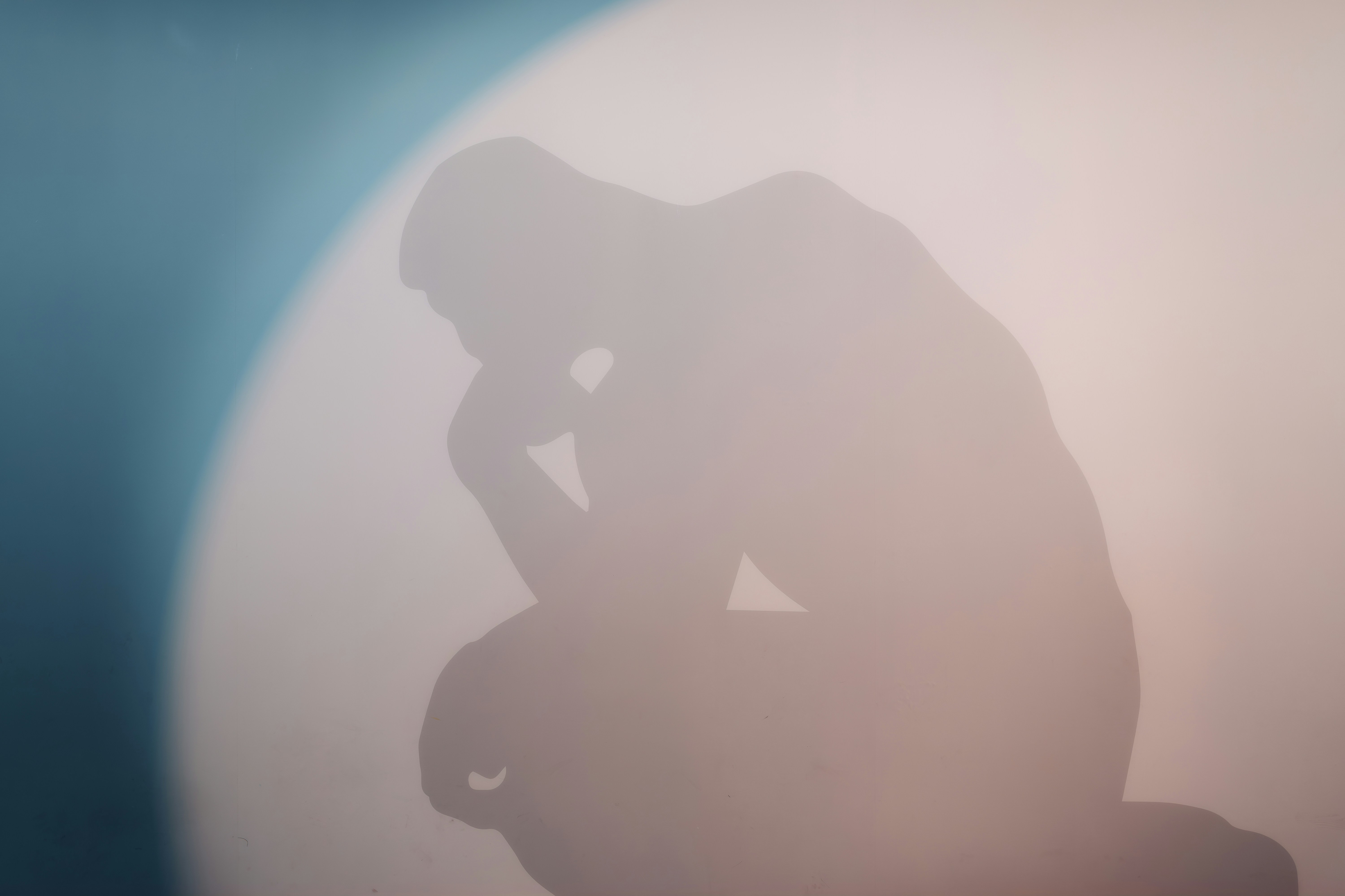 Silhouette of a person in a contemplative pose against a soft, circular light halo; the image emphasizes shape and mood rather than detail. This is a photographic capture rather than illustration or painting.