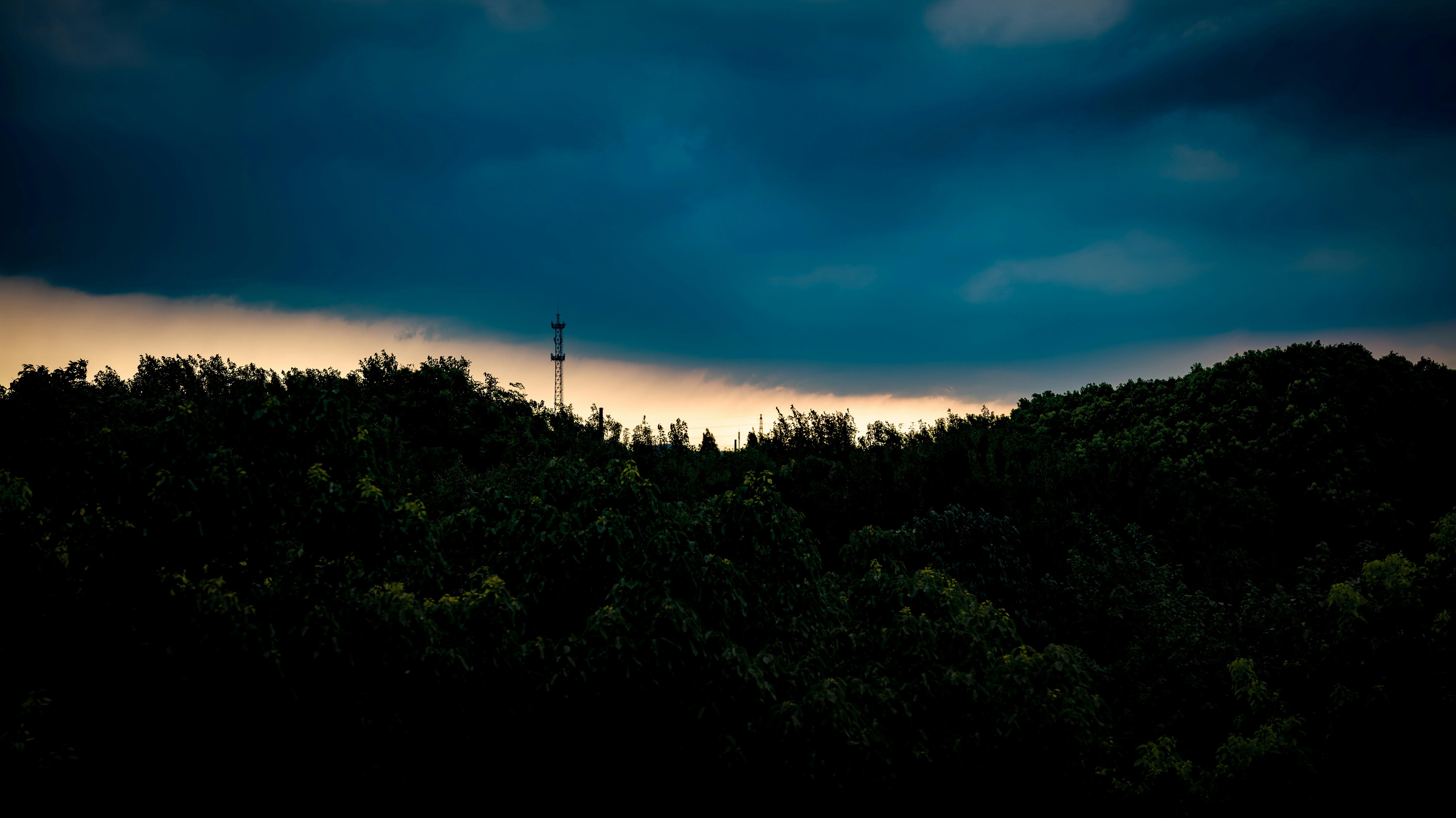 Photo by Declan Sun with Leica SL2-S