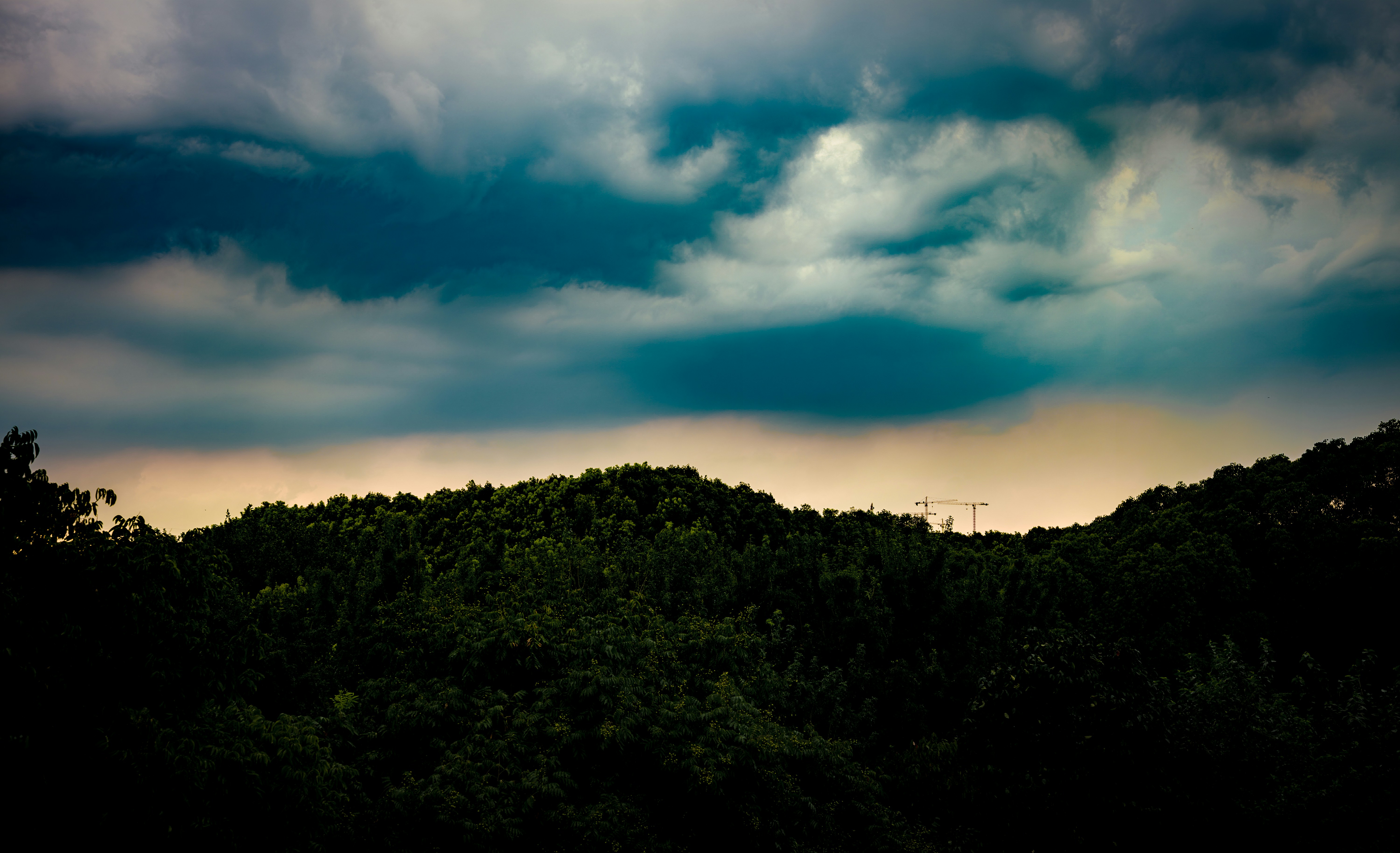 Low-angle view of a forest silhouette beneath a dramatic, cloud-streaked sky at dusk; a calm horizon line highlights the dense treeline and moody atmosphere. This is a natural landscape capture.