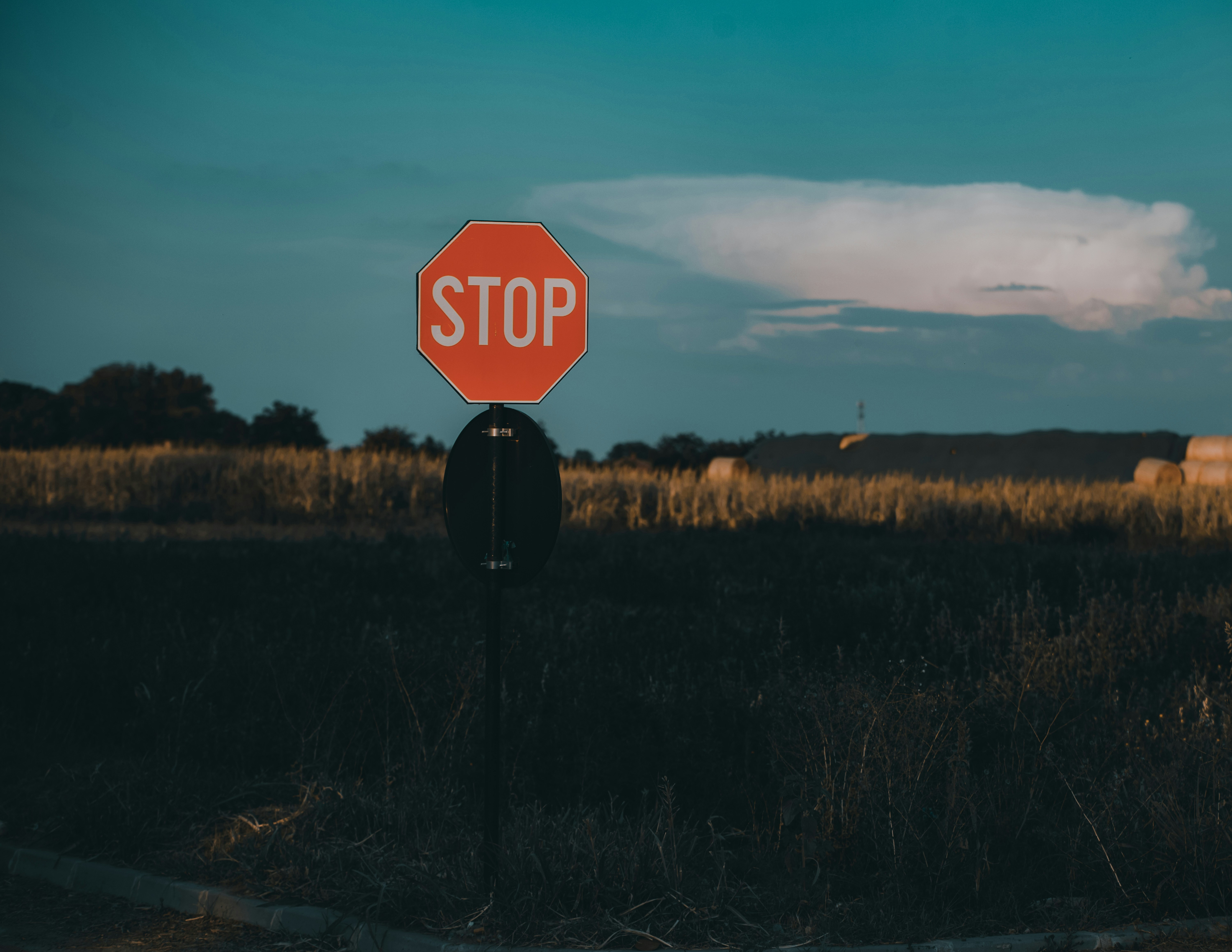 Red Stop, Quiet Horizon: A Field‑Edge Pause