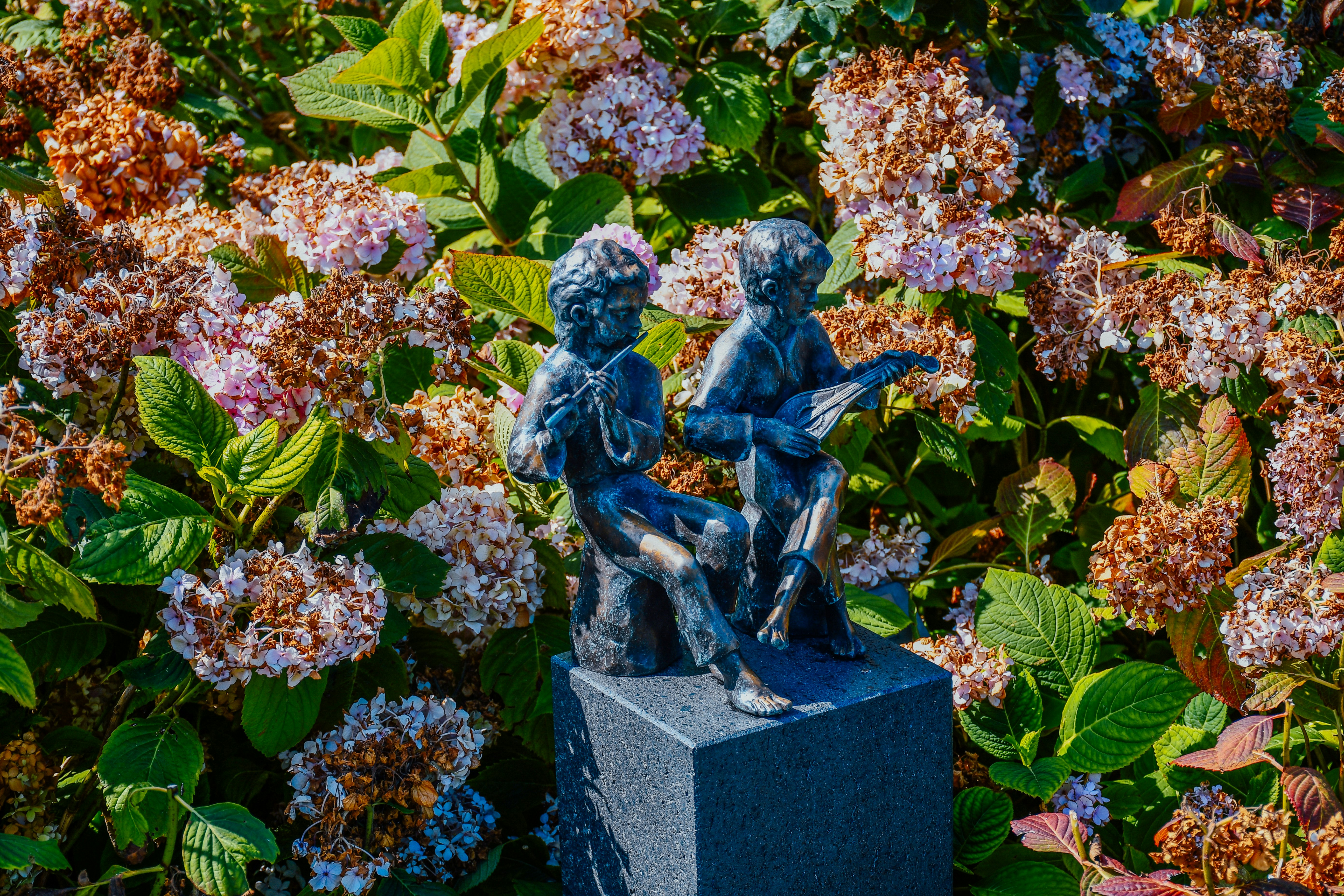 Blue statues among fading hydrangeas