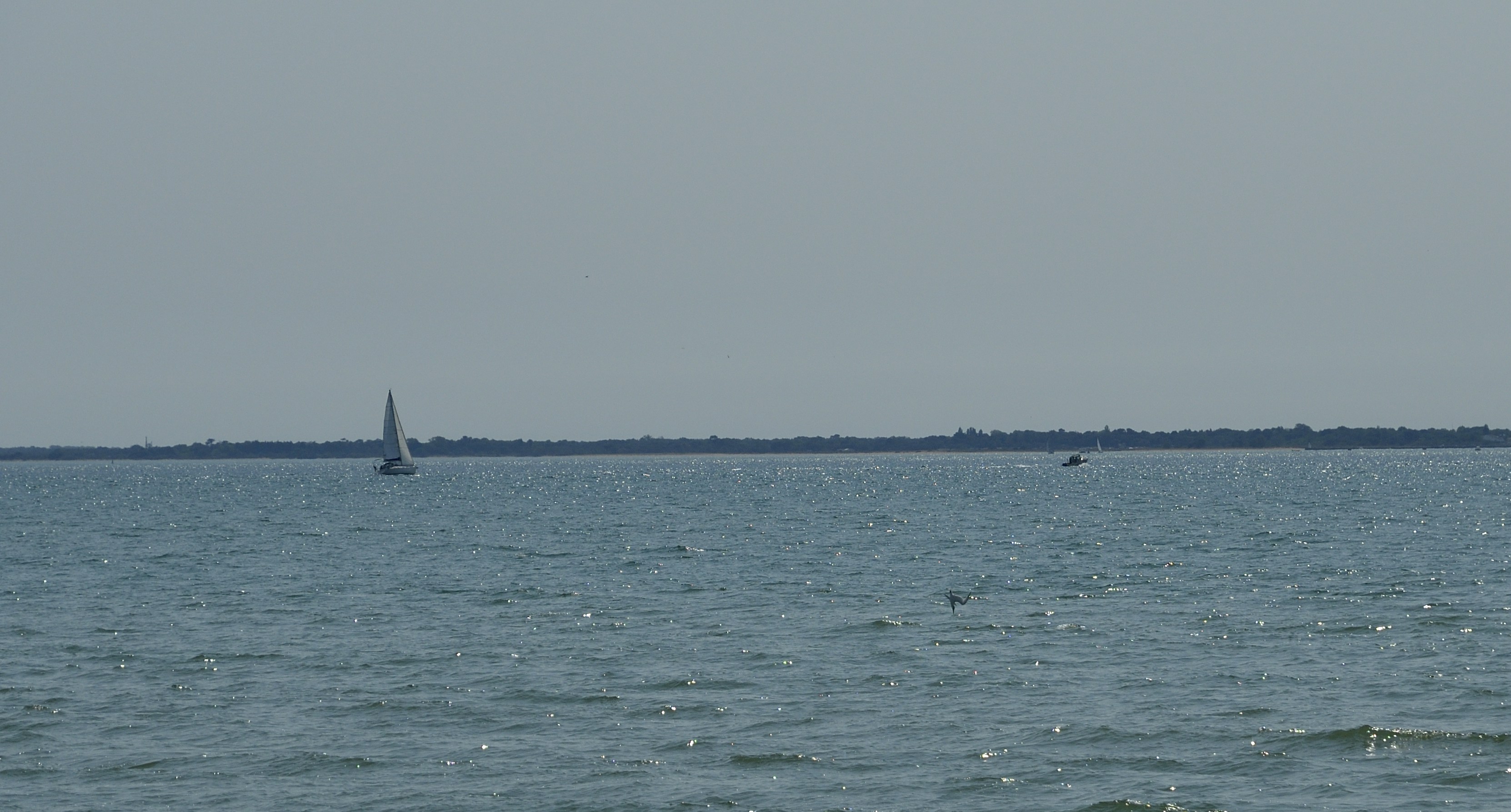 Calm sea with a lone sailboat near the distant horizon; a tranquil coastal scene with gentle light on the water.