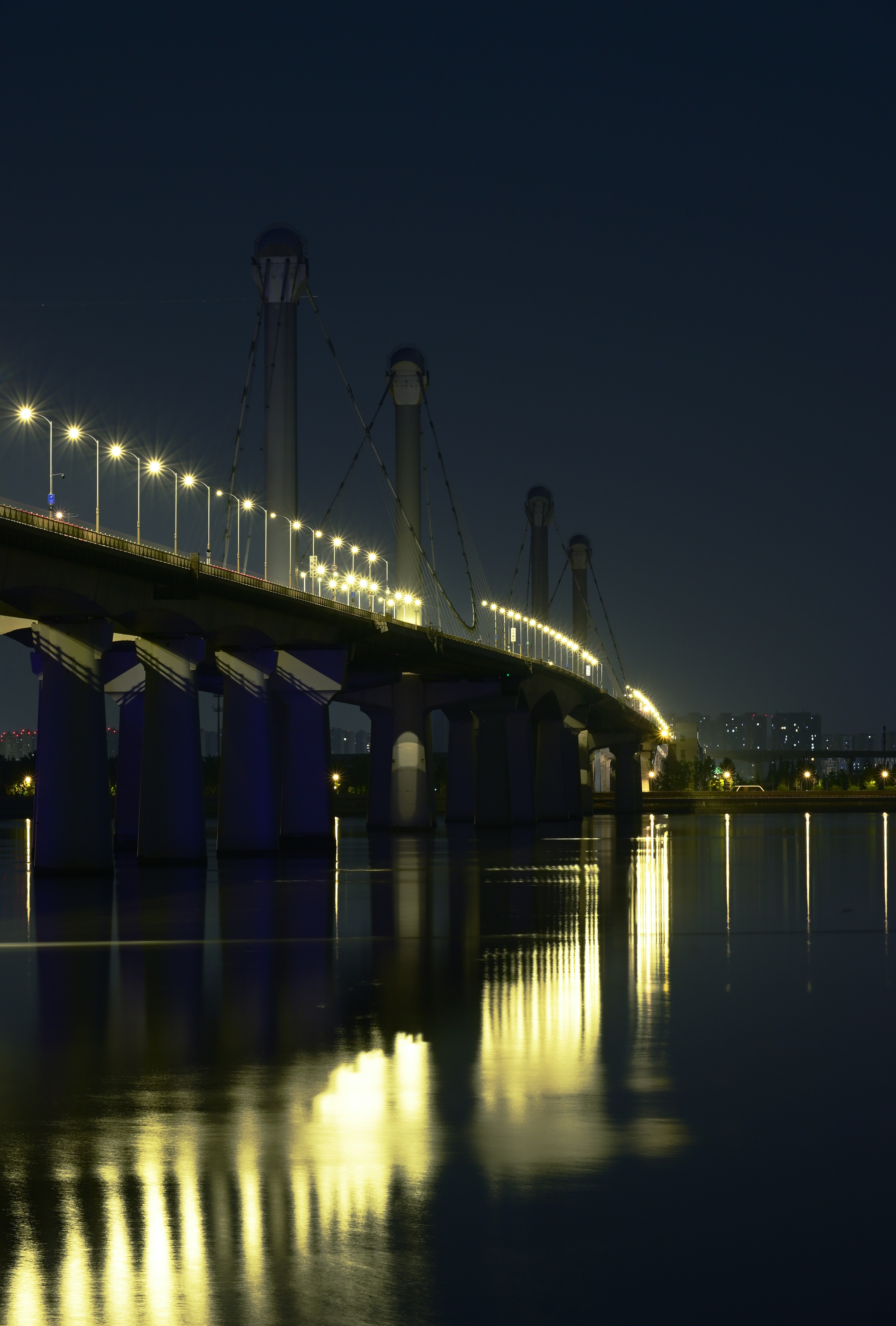Luminous Night: A Cable-Bridge Symphony Reflected