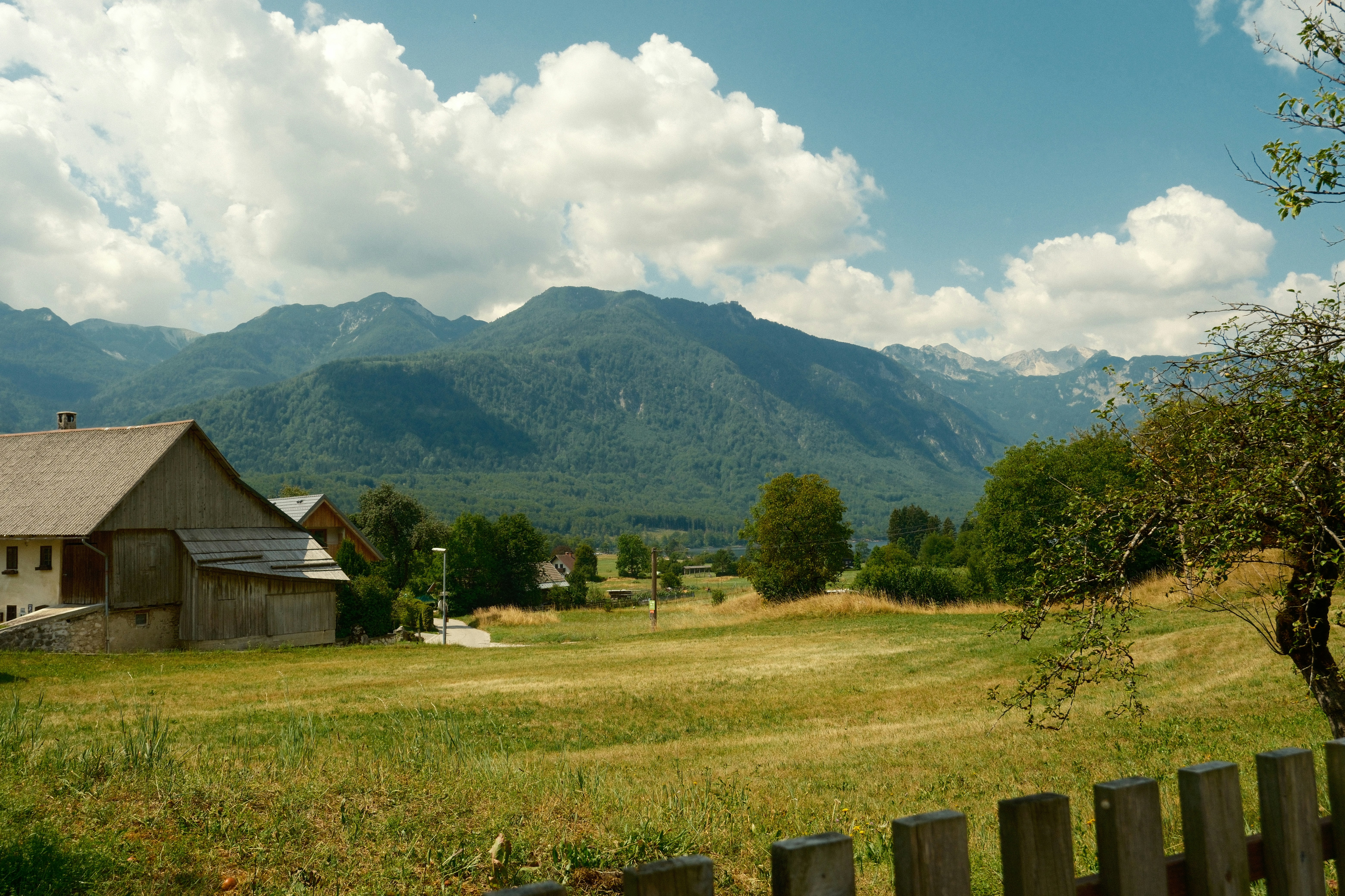 Village Field under Aerial Mountain Canopy