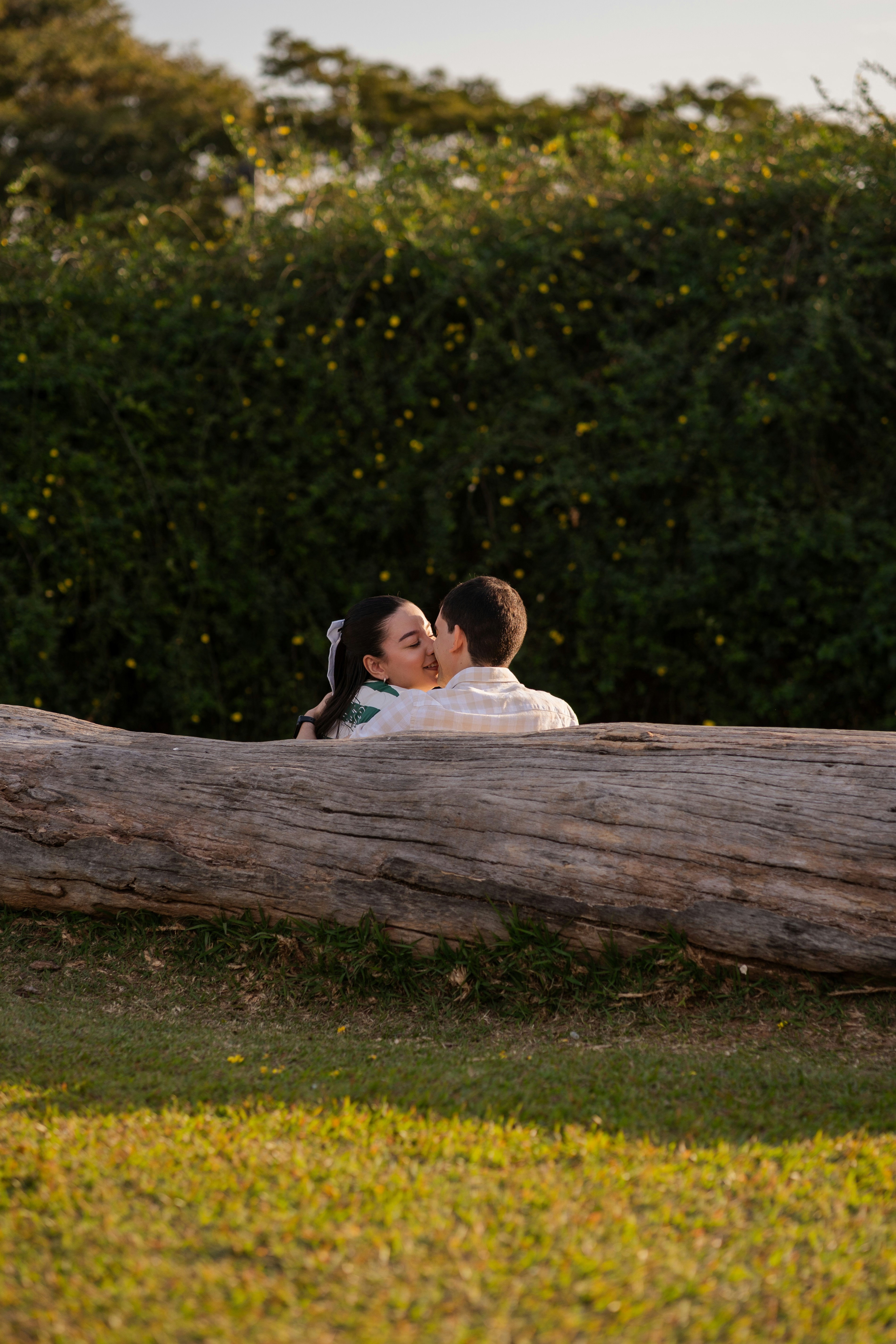 Whispered Kiss Across a Weathered Log