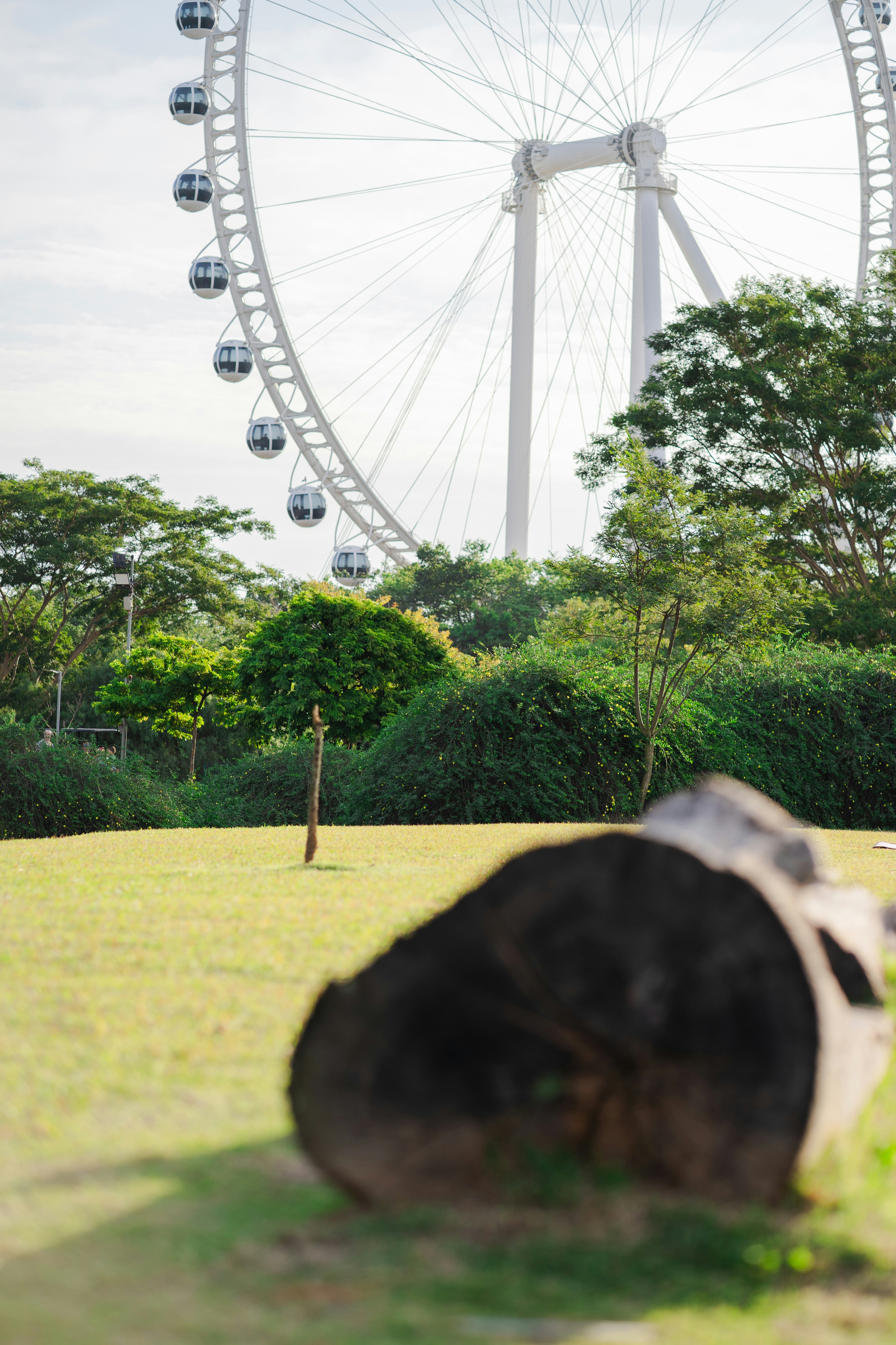 Giant Wheel over Green Hall: A Park Day with Calm Geometry